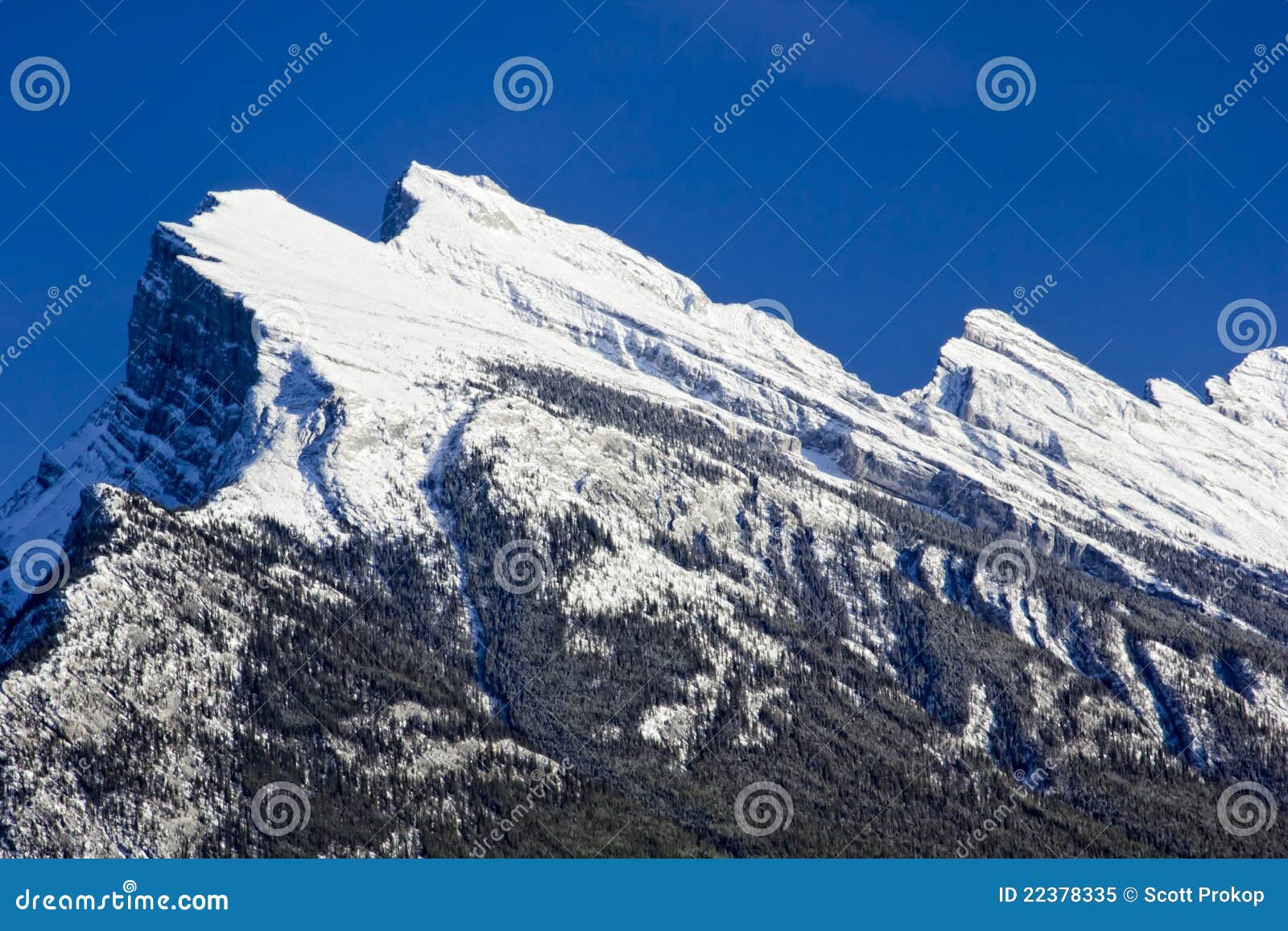 Mount Rundle stock image. Image of canadian, winter, tree - 22378335