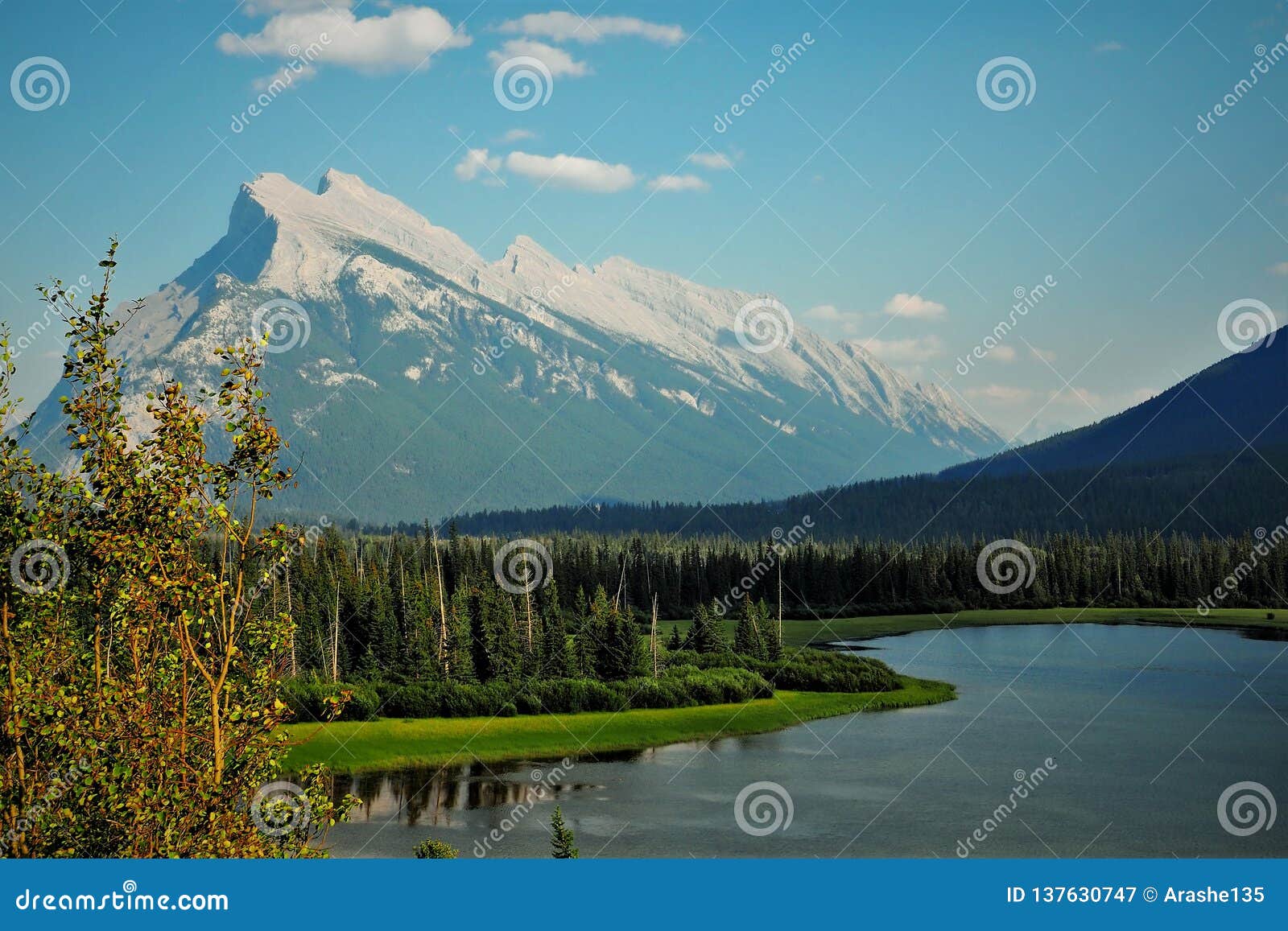Mount Rundle, Alberta, Canada. Stock Image - Image of blueberry, banff ...