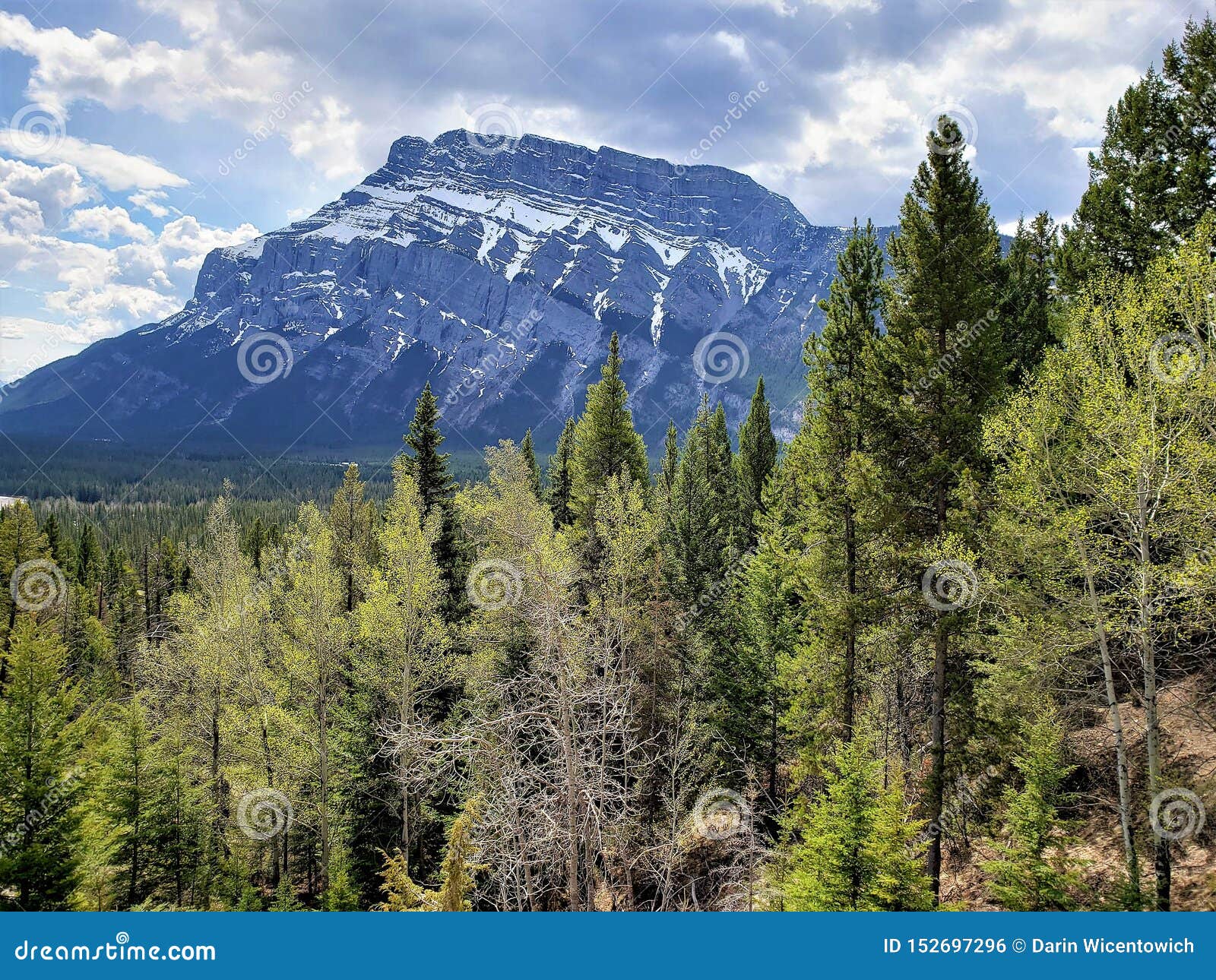 Mount Rundle in Banff Alberta Stock Photo - Image of trees, natural ...