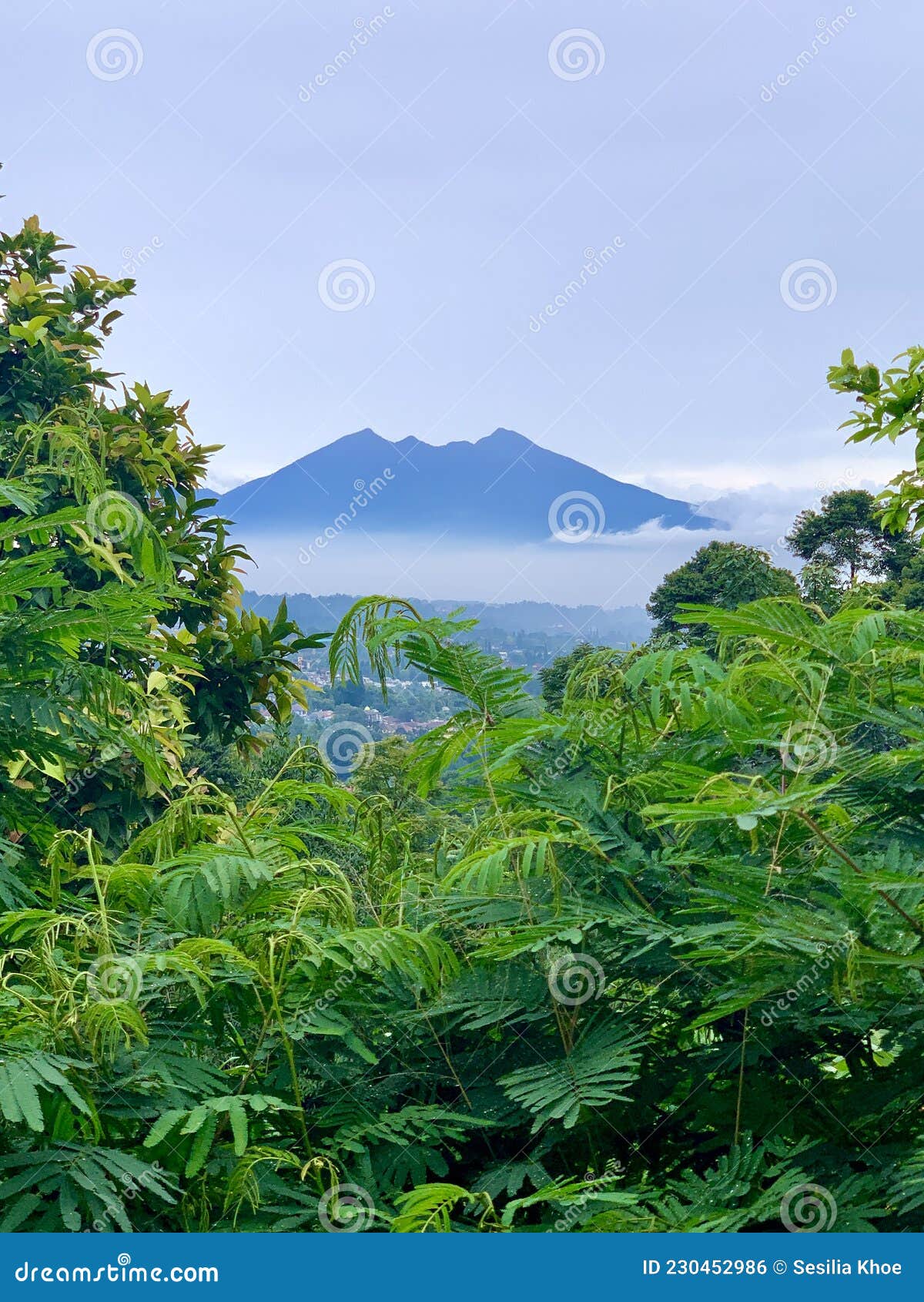 Mount Salak, Indonesia stock photo. Image of west, java - 230452986