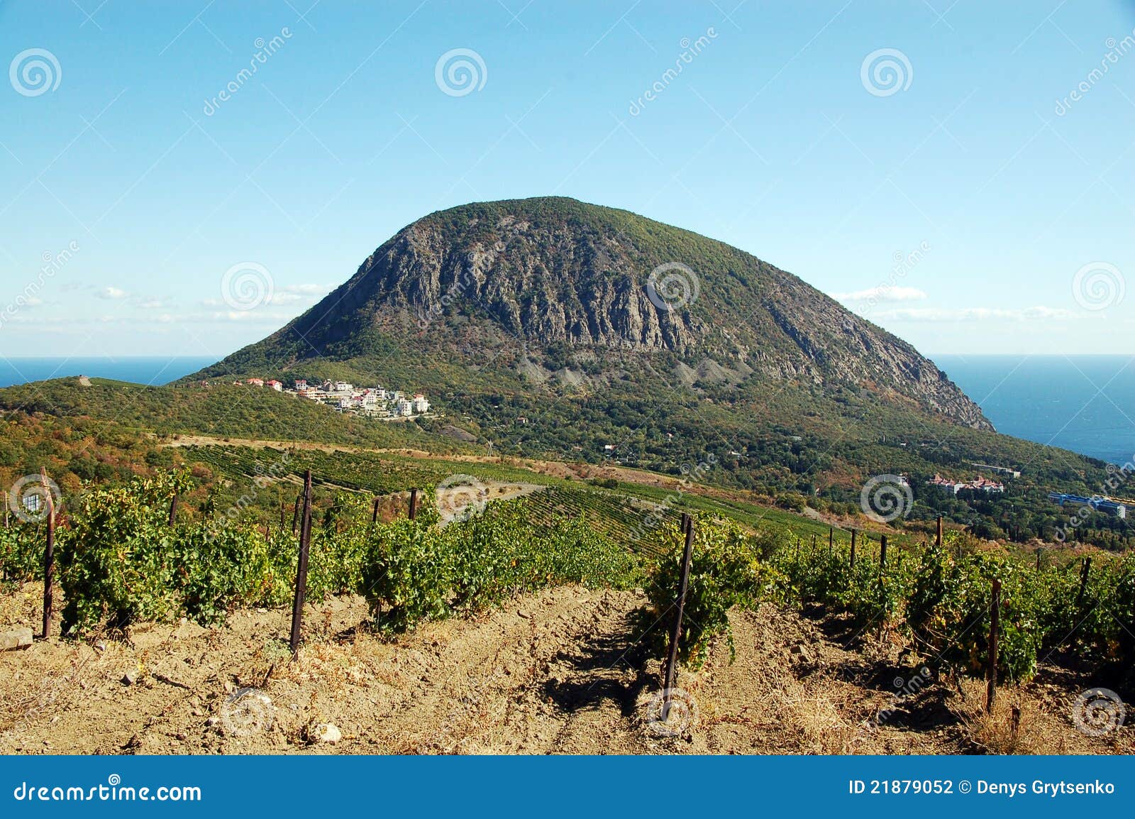 Mount and sea stock photo. Image of tree, mountain, high - 21879052
