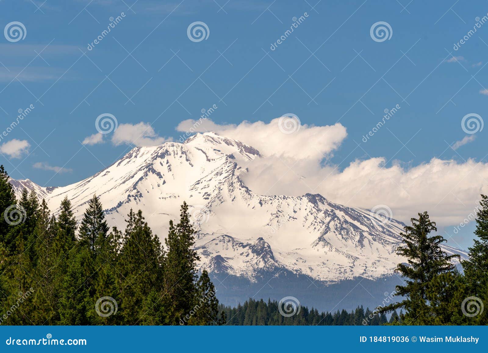 Mount Shasta, California stock photo. Image of plants - 184819036