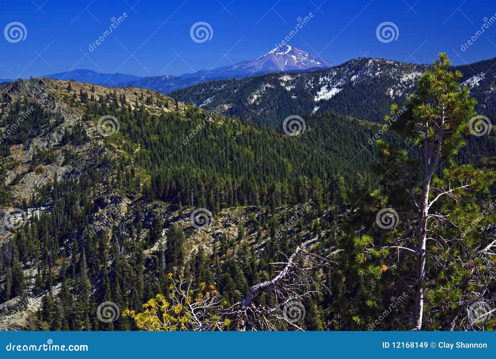Mount Shasta from Trinity Alps Stock Image - Image of crest ...
