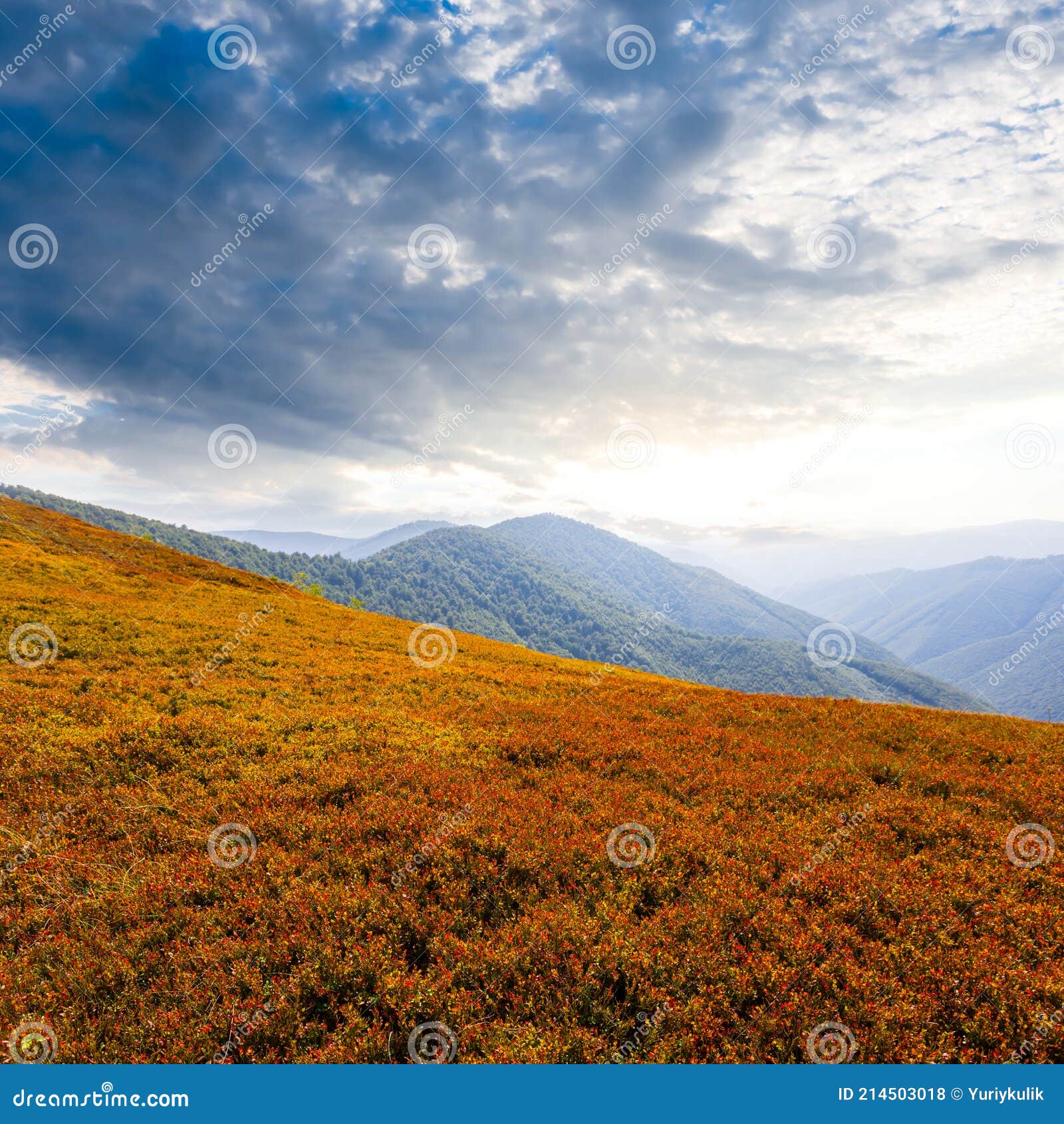 Mount slope with red grass stock photo. Image of magnificent - 214503018