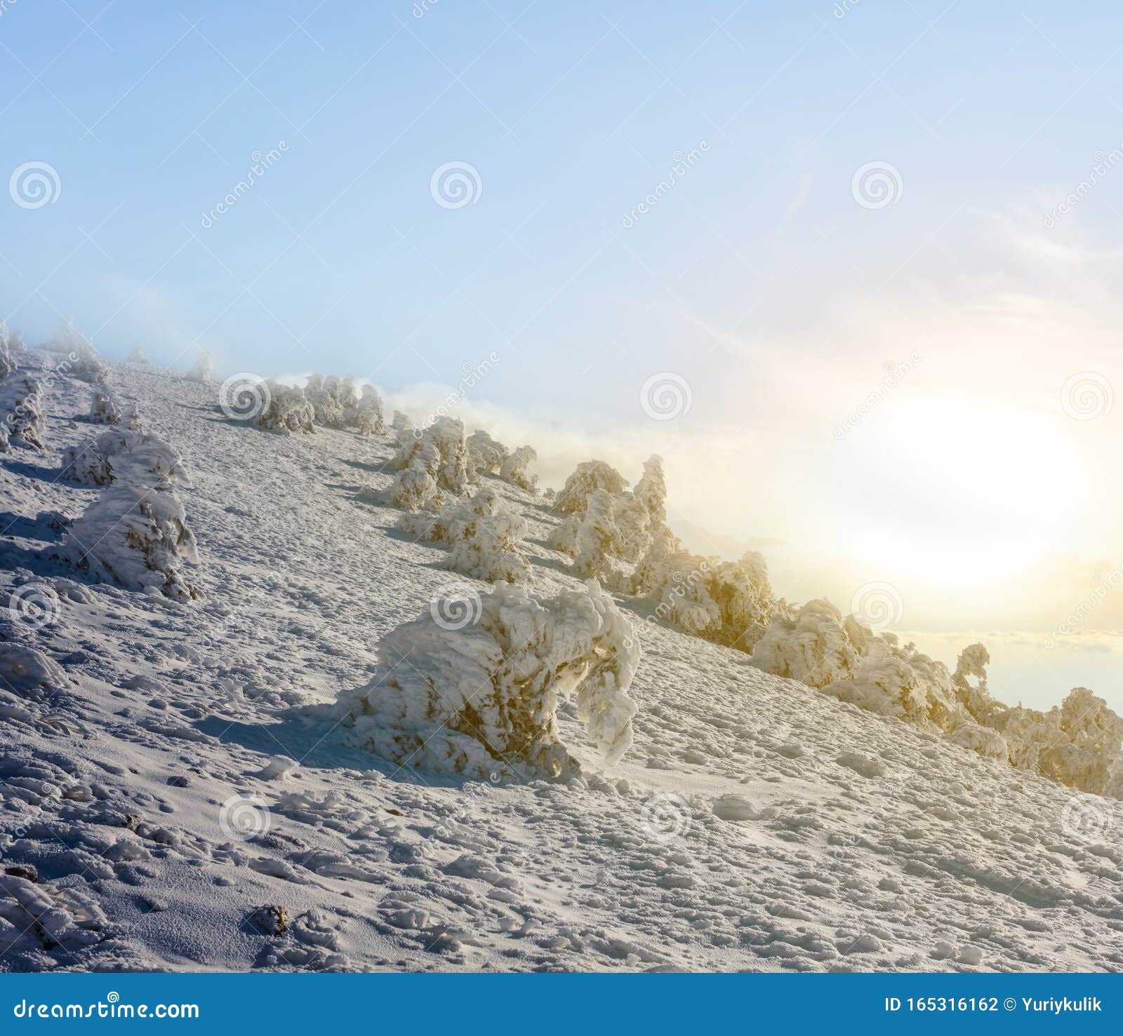 Mount slope in a snow stock photo. Image of glow, branch - 165316162
