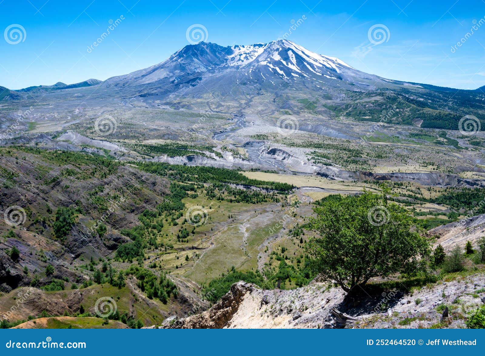 Mount St Helens from the Johnson Ridge Observatory Stock Photo - Image ...