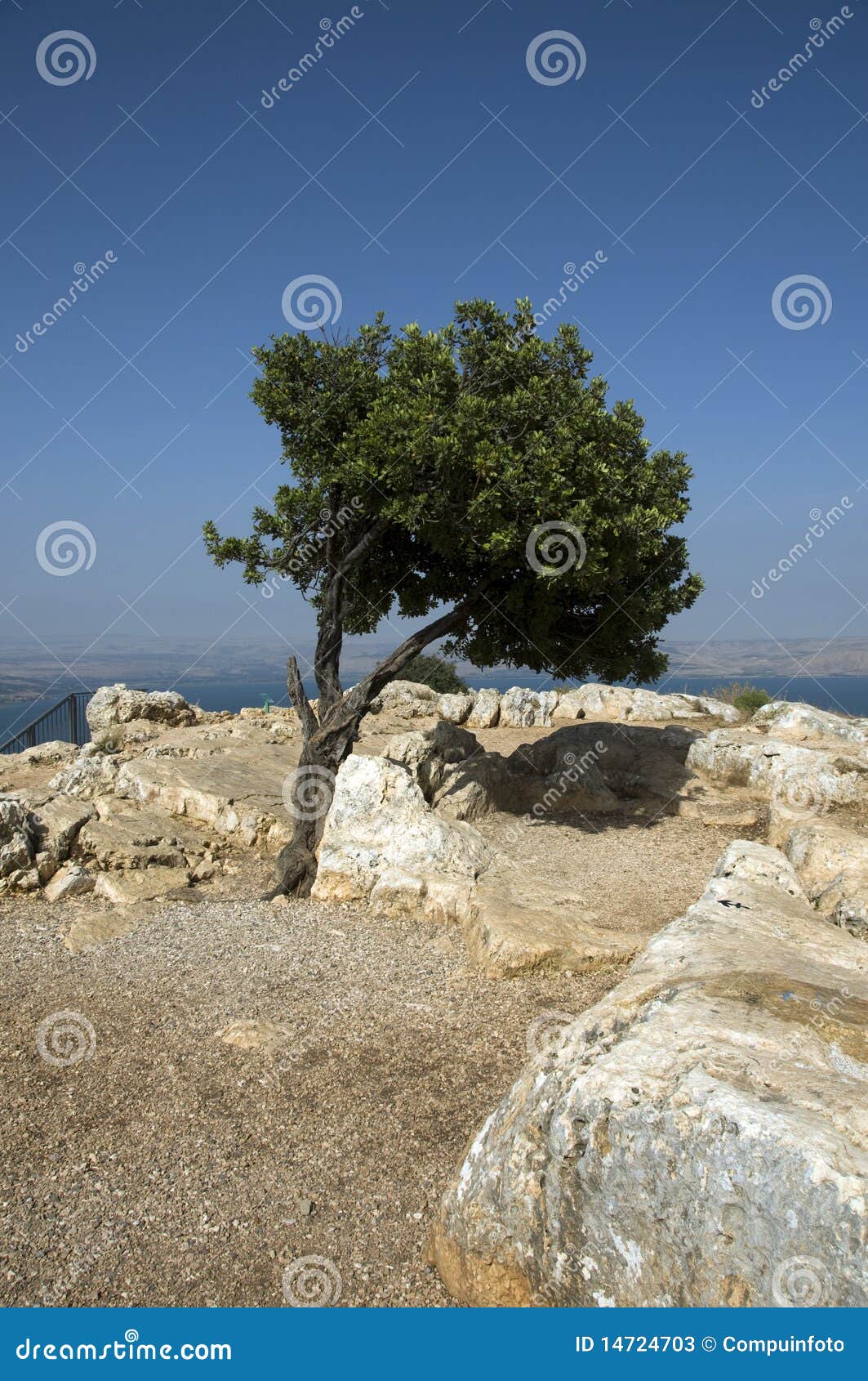 Mount Tabor stock image. Image of abstract, israel, plant - 14724703