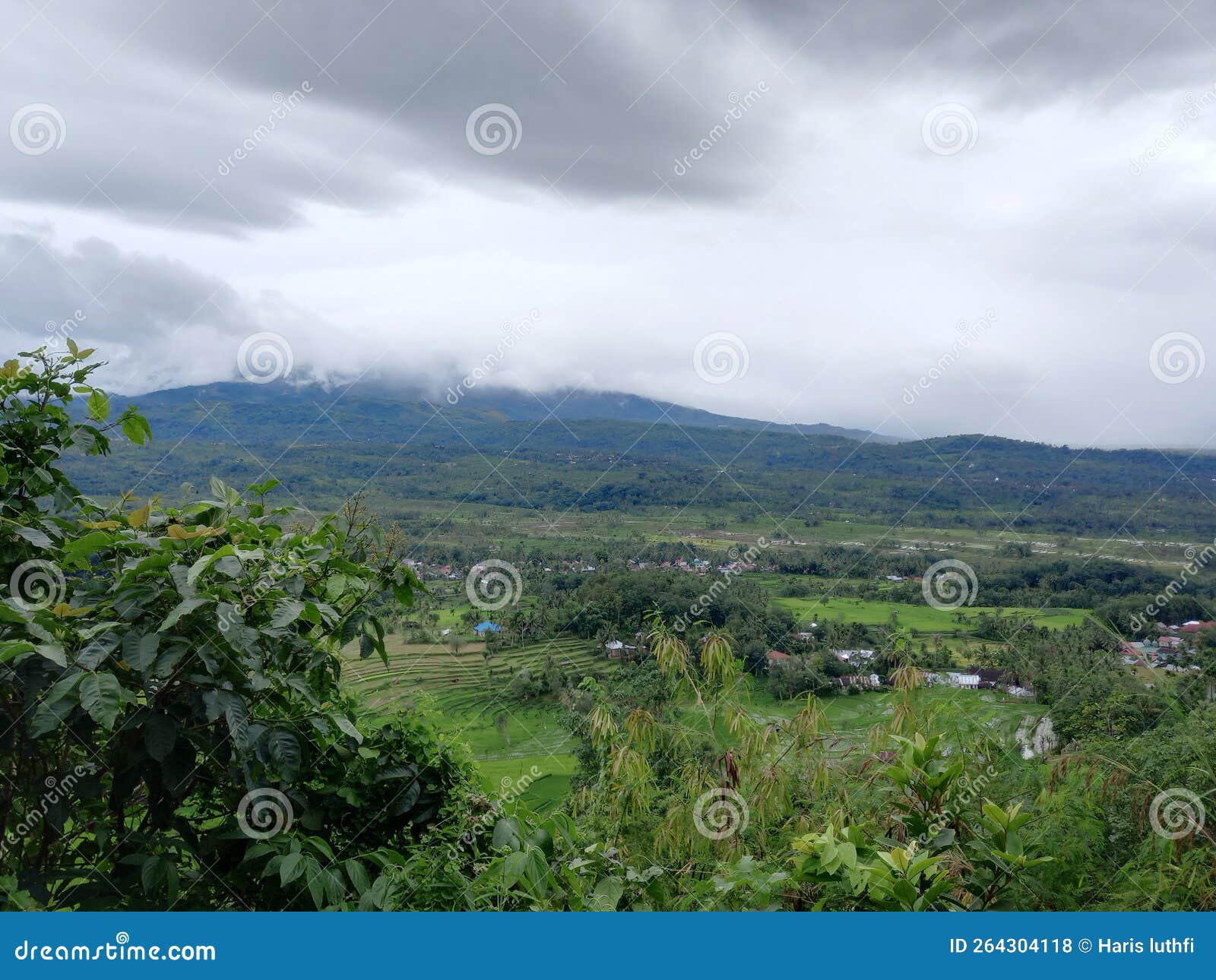 Mount talang stock photo. Image of cloud, plateau, tree - 264304118