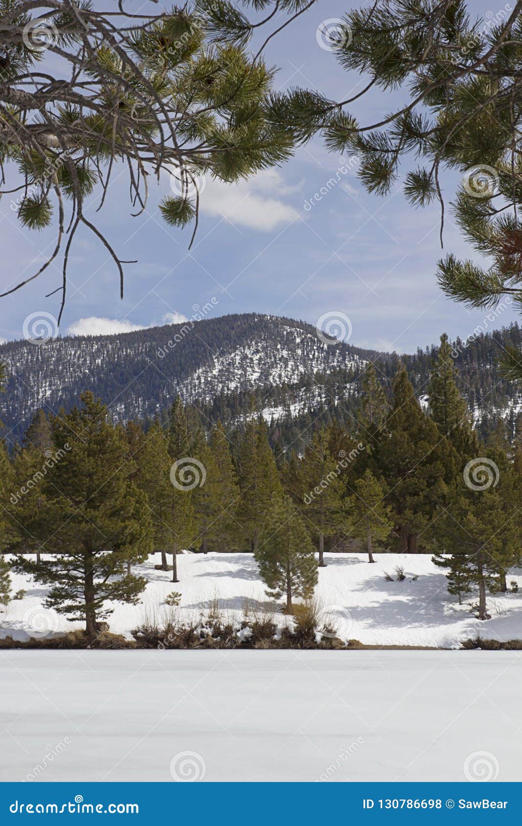 Mount Tallac from Fallen Leaf Lake Stock Photo - Image of park ...