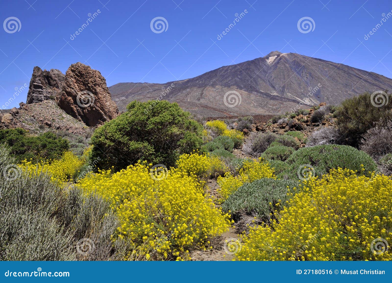 Mount Teide at Canary Island Stock Photo - Image of season, bourgeauana ...