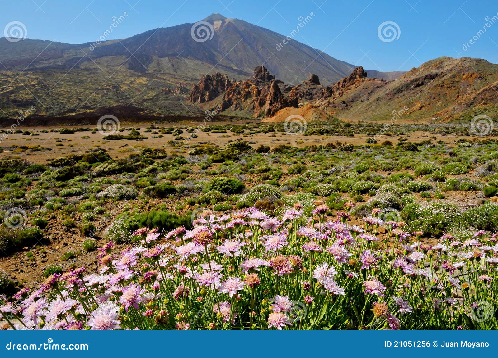 Mount Teide, in Teide National Park, Tenerife Stock Photo - Image of ...