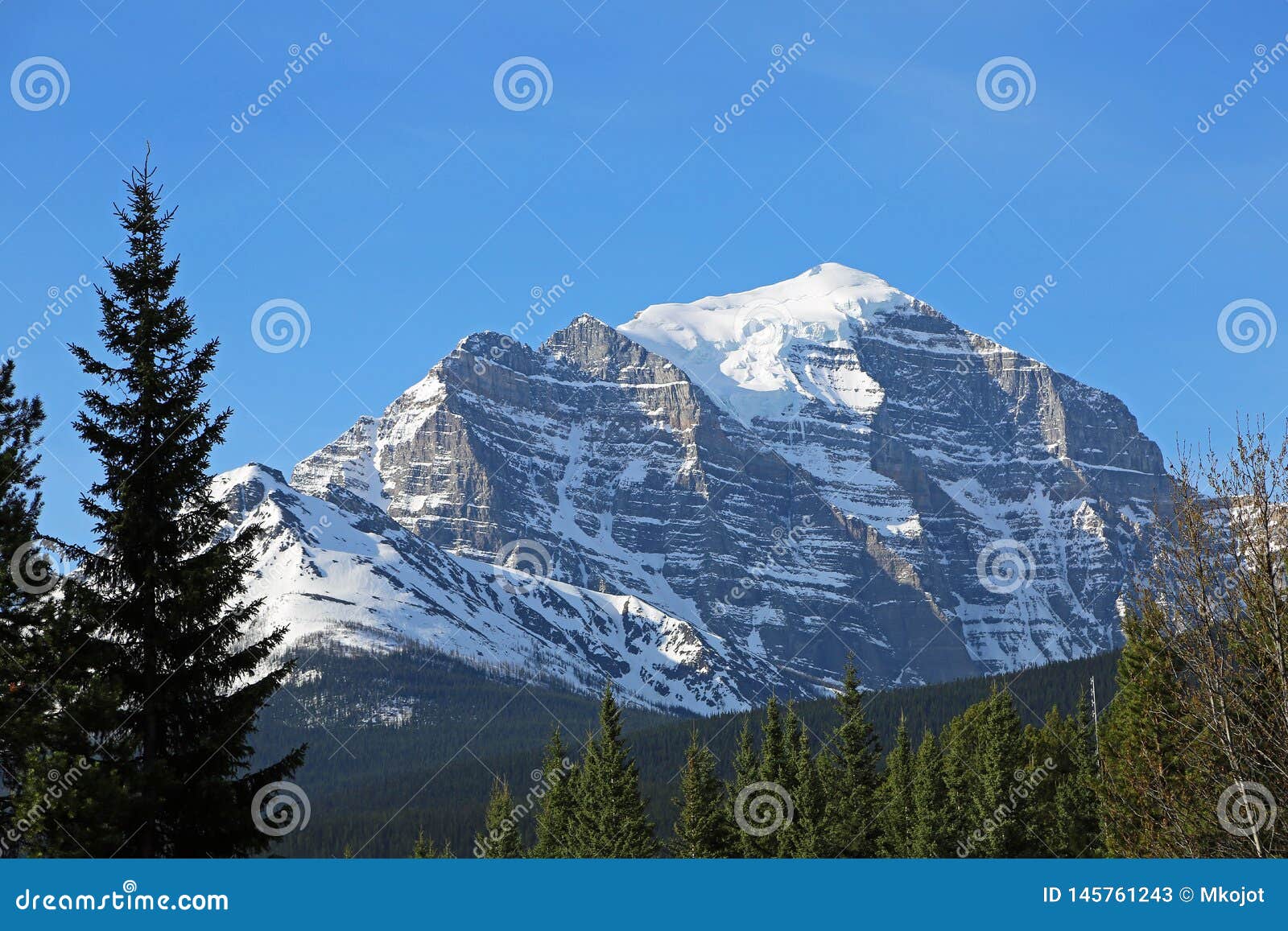 Mount Temple stock image. Image of scenic, canada, forest - 145761243