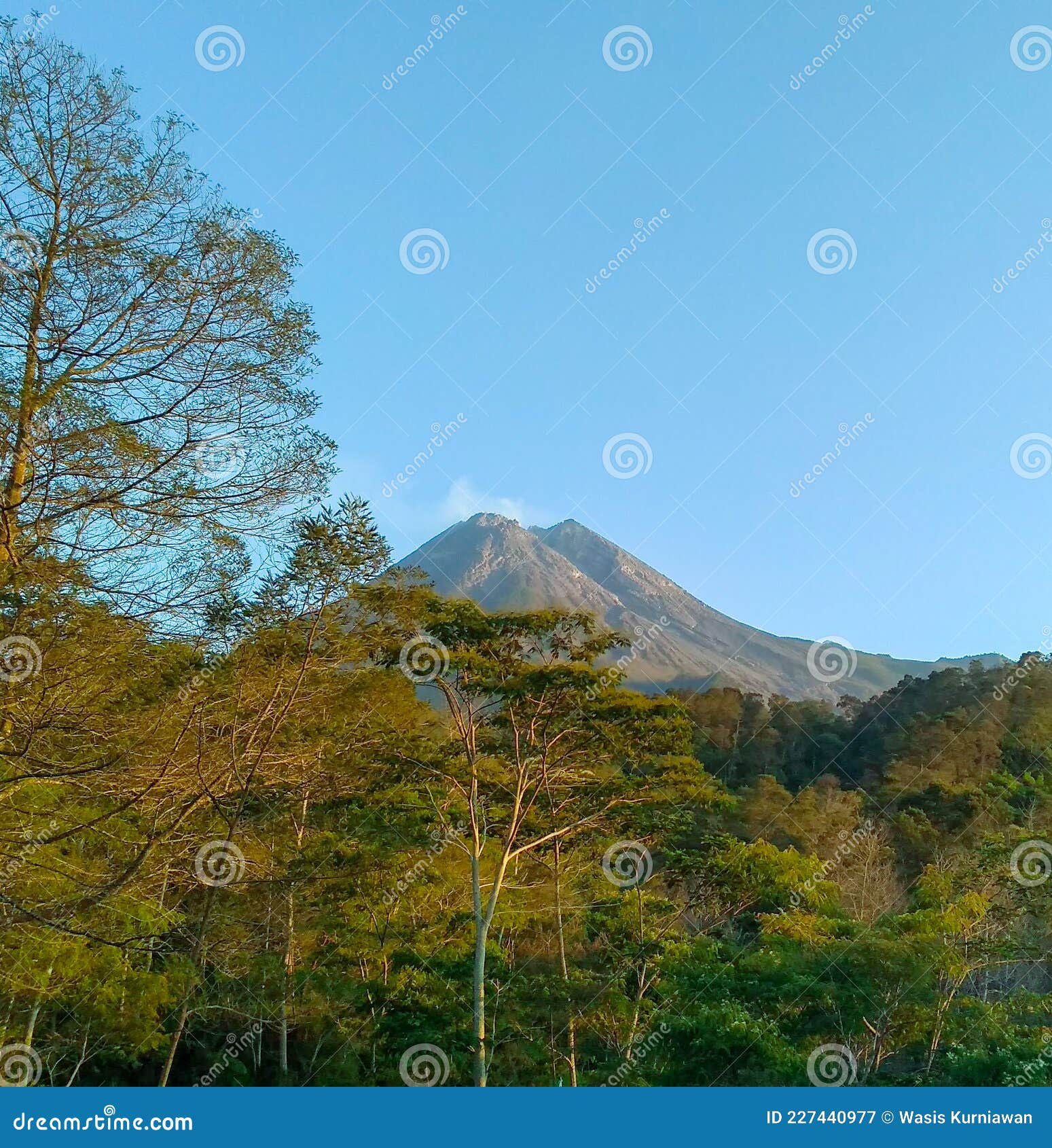 Mount and Tree stock image. Image of valley, plant, forest - 227440977