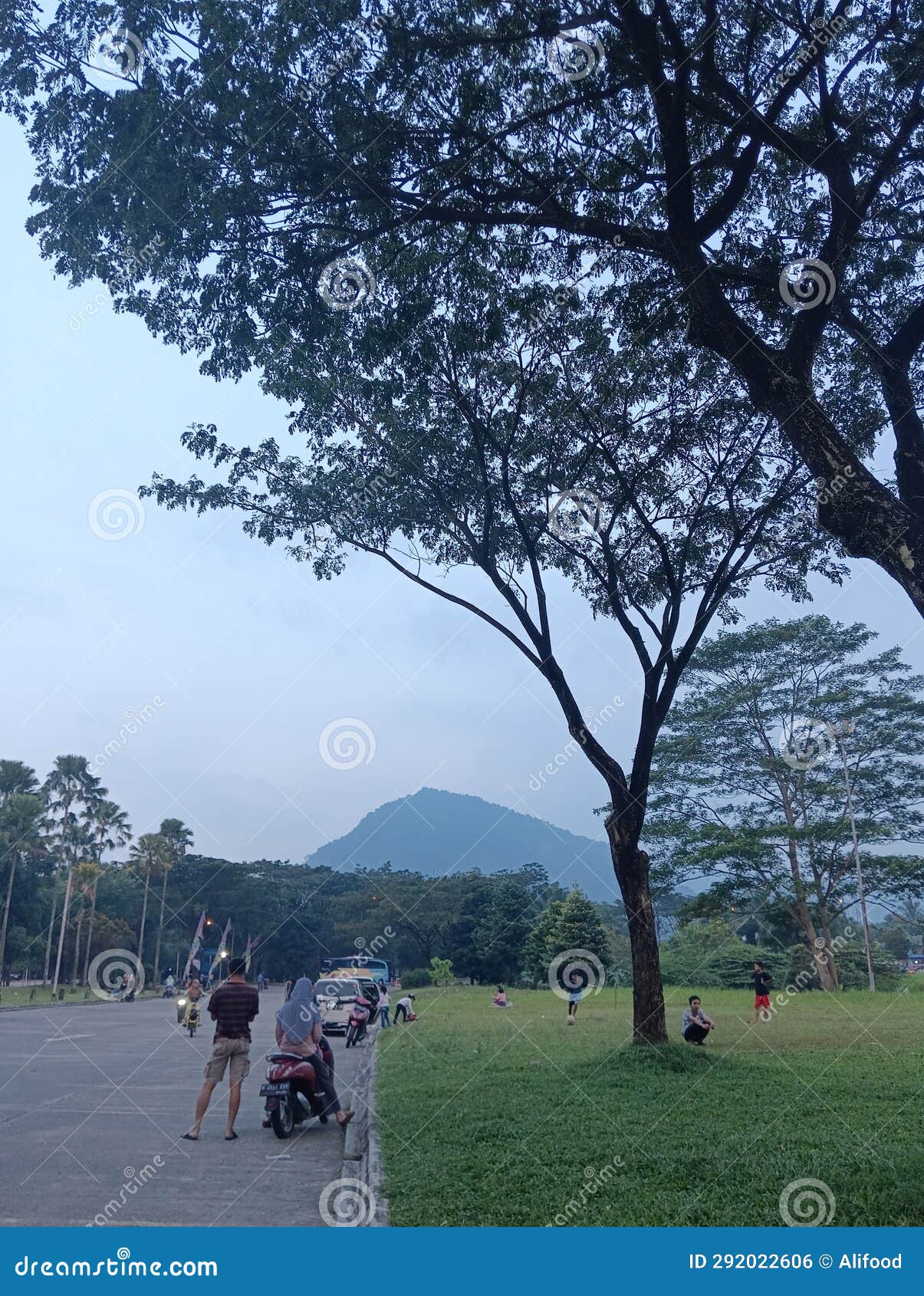 Mount and Tree at Afternoon in Sentul City Stock Photo - Image of mount ...