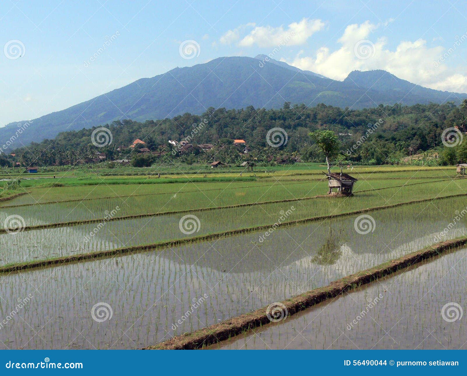 Mount Ungaran stock photo. Image of located, gunung, ungaran - 56490044