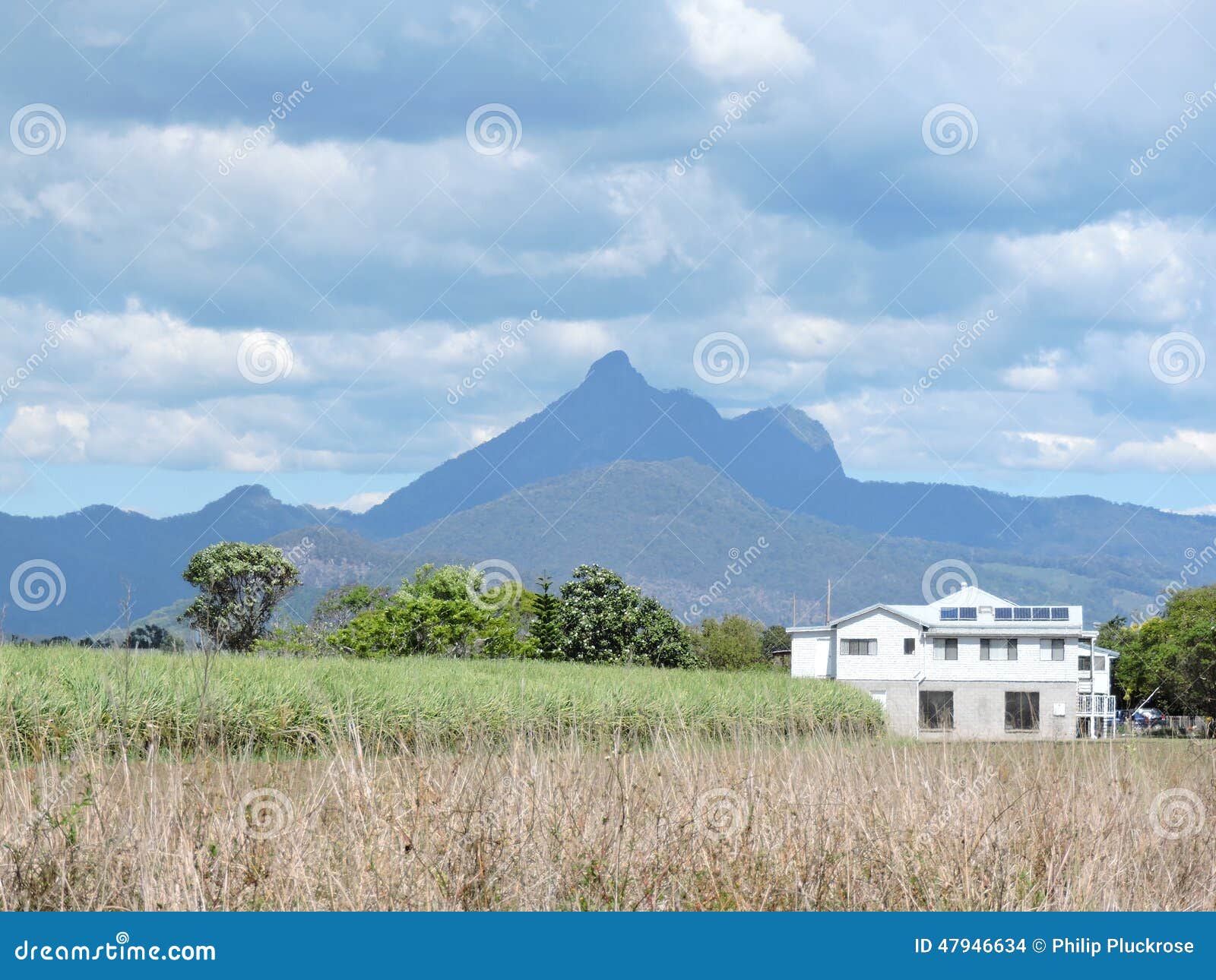 Mount Warning Stock Photography | CartoonDealer.com #39123674