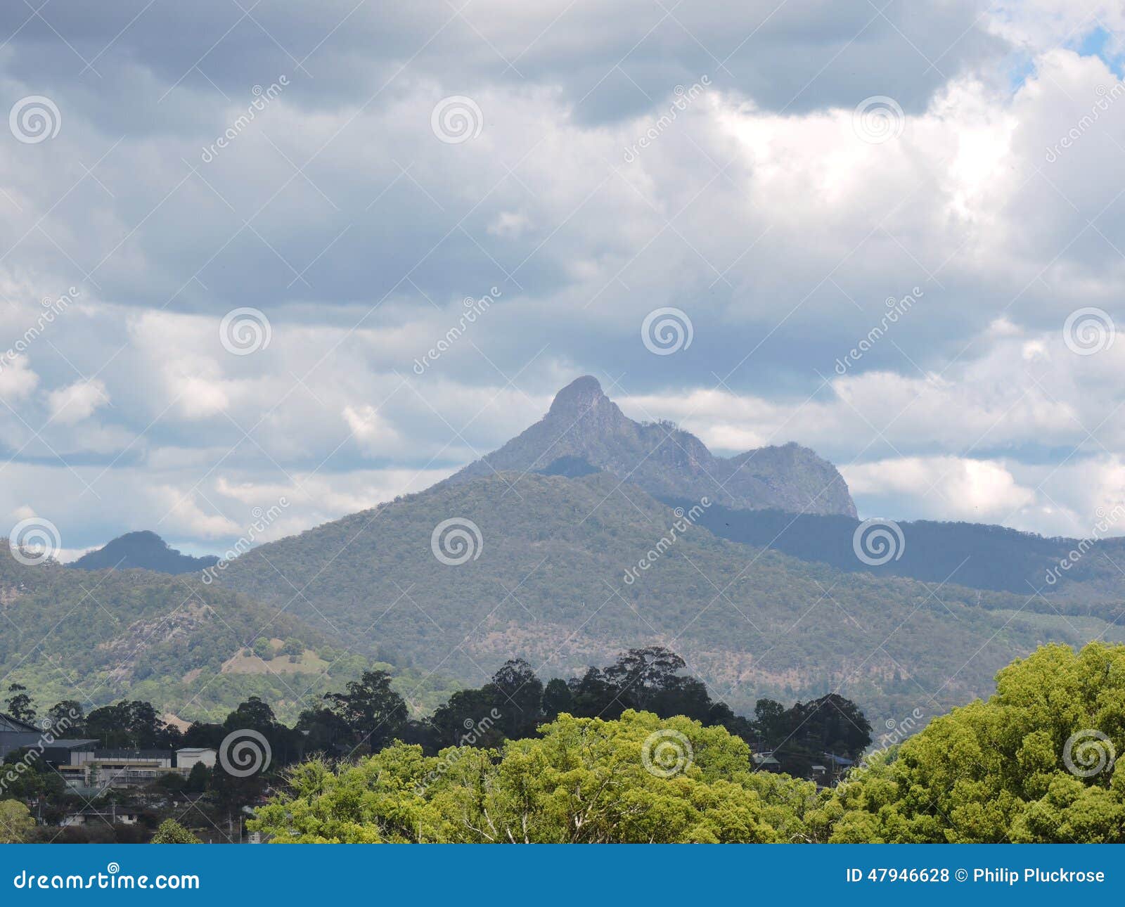 Mount Warning Stock Photography | CartoonDealer.com #39123674