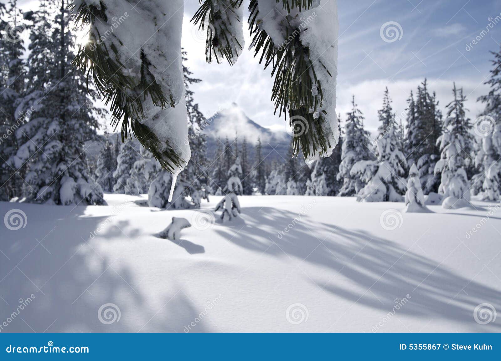 Mount Washington Snowfield stock image. Image of needles - 5355867