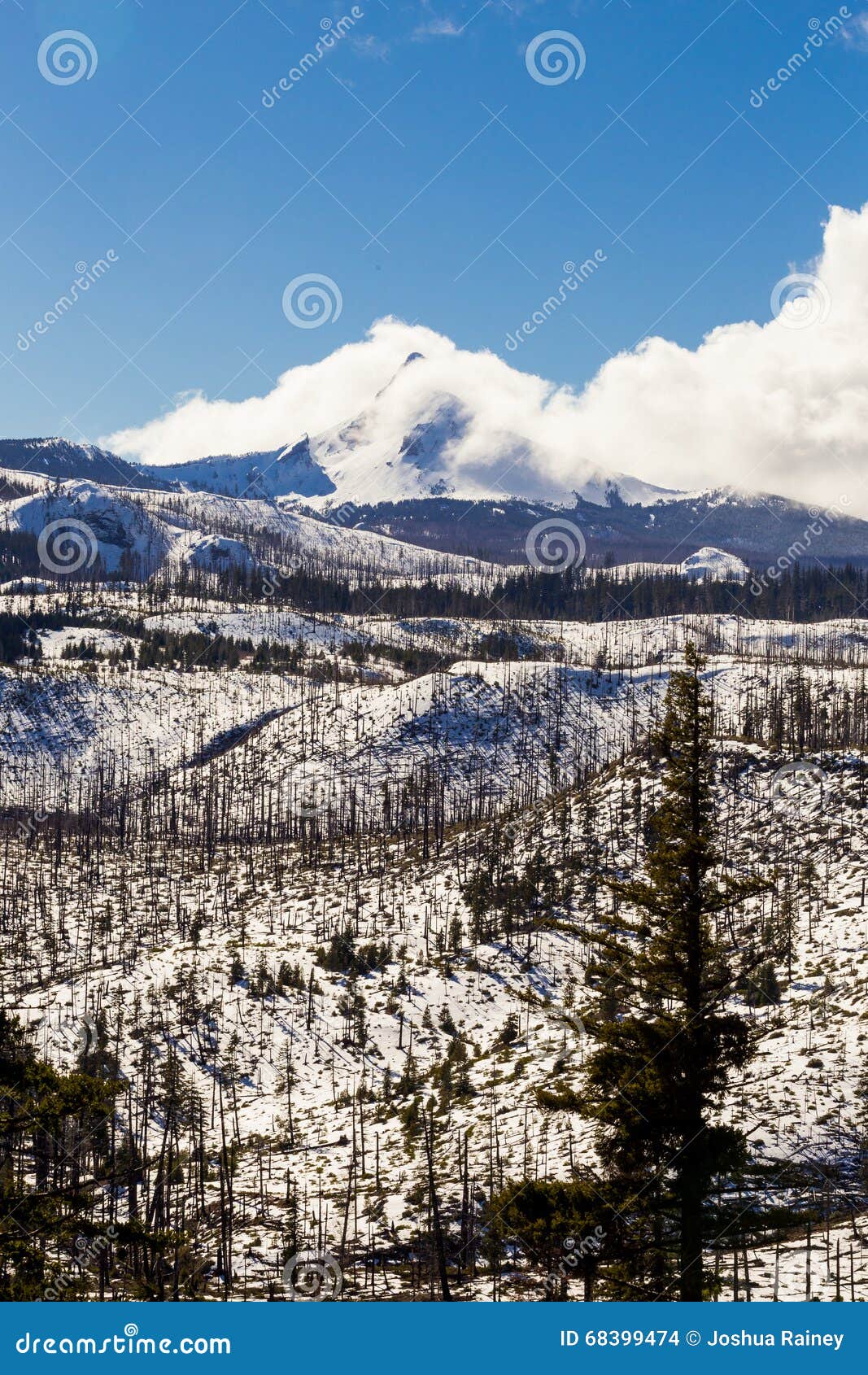 Mount Washington Wilderness in Winter Snow Stock Photo - Image of ...