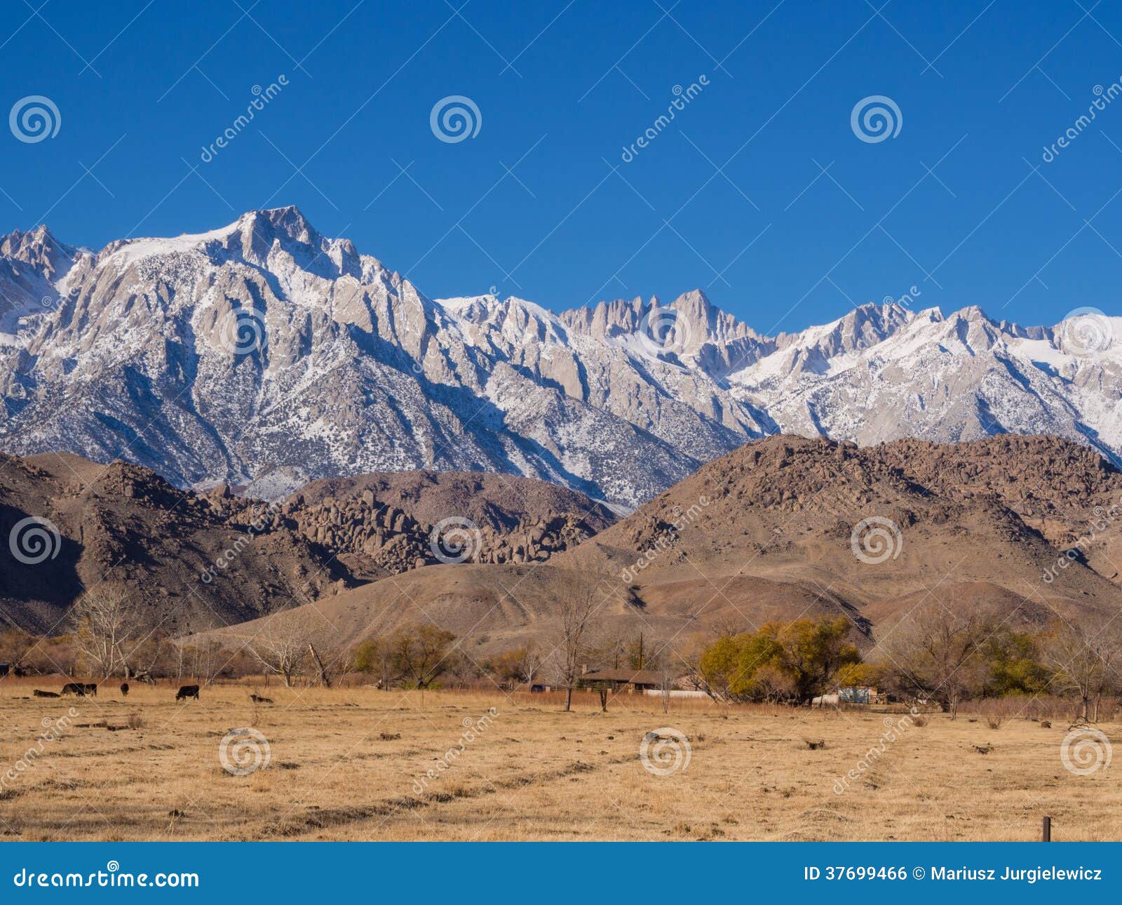 Mount Whitney stock photo. Image of highest, tallest - 37699466