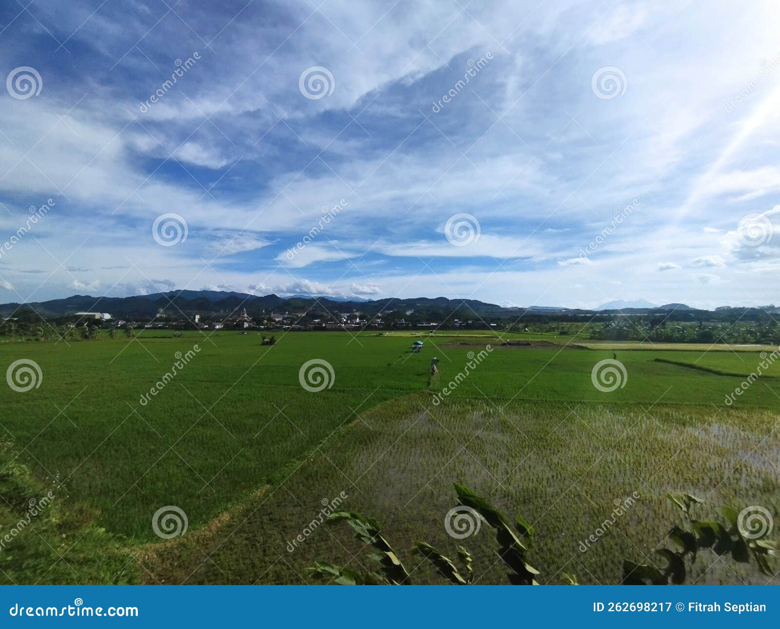 Mountain in the Afternoon with Rice Fields Stock Image - Image of rice ...