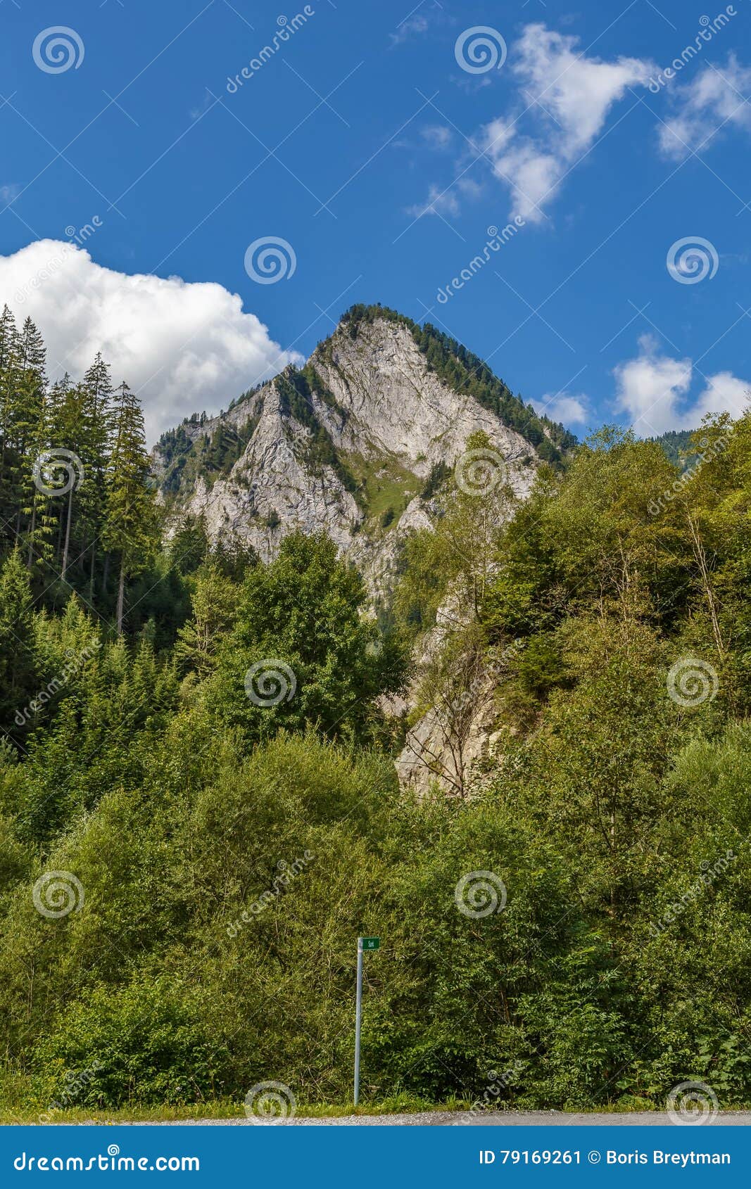 Mountain in Alps, Austria stock image. Image of summer - 79169261