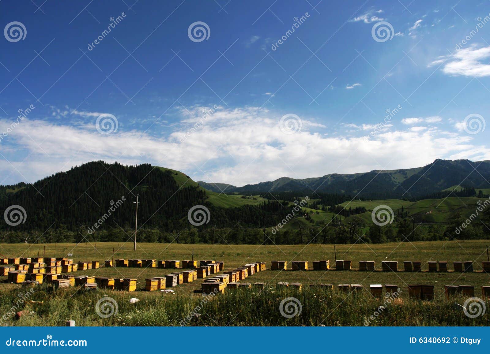Mountain and apiary stock photo. Image of apiarian, mountain - 6340692