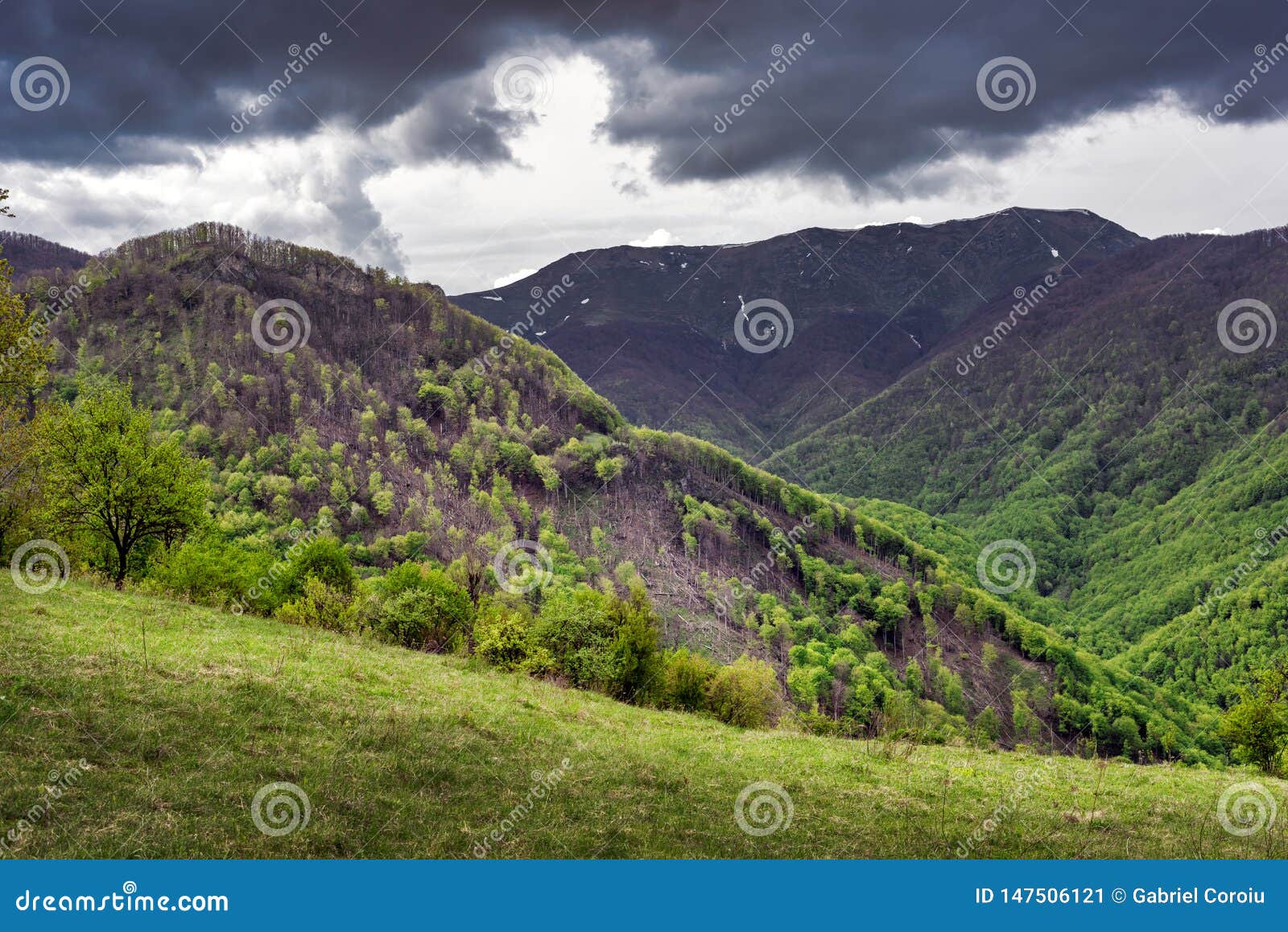 Mountain Area Deforested. a Real Natural Disaster. Stock Image - Image ...