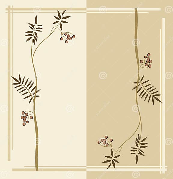 Mountain ash branch stock vector. Illustration of frame - 14999149