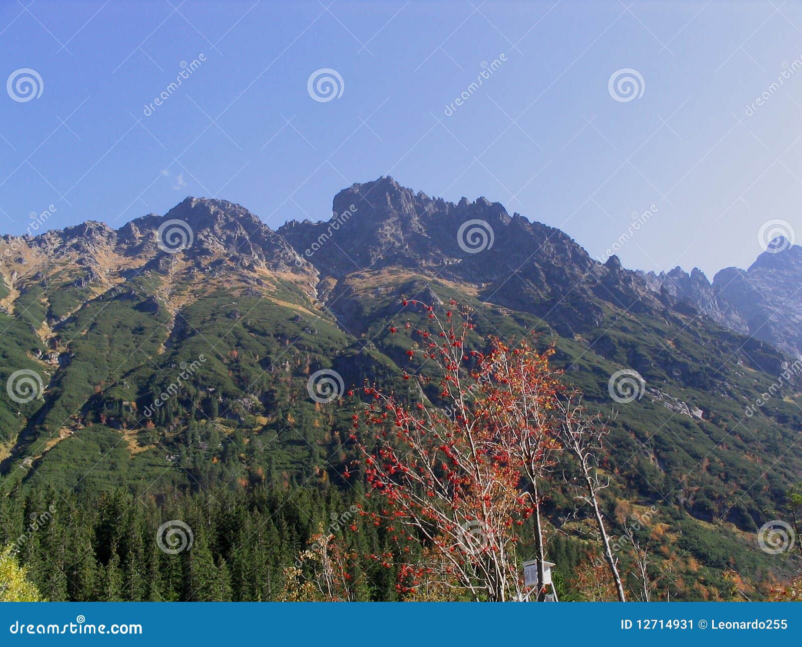Mountain atumn stock image. Image of mountain, atumn - 12714931