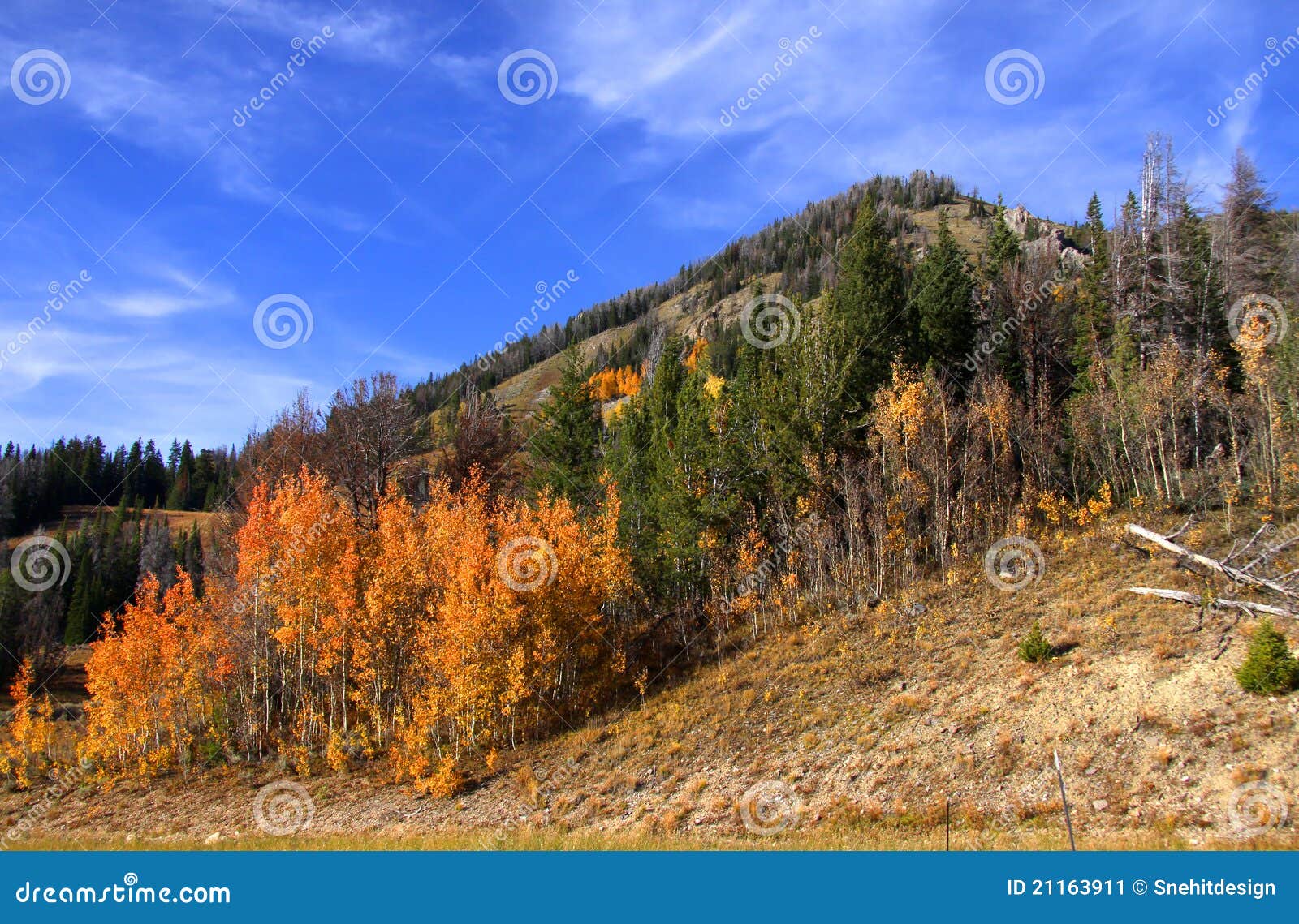Mountain autumn landscape stock image. Image of fall - 21163911