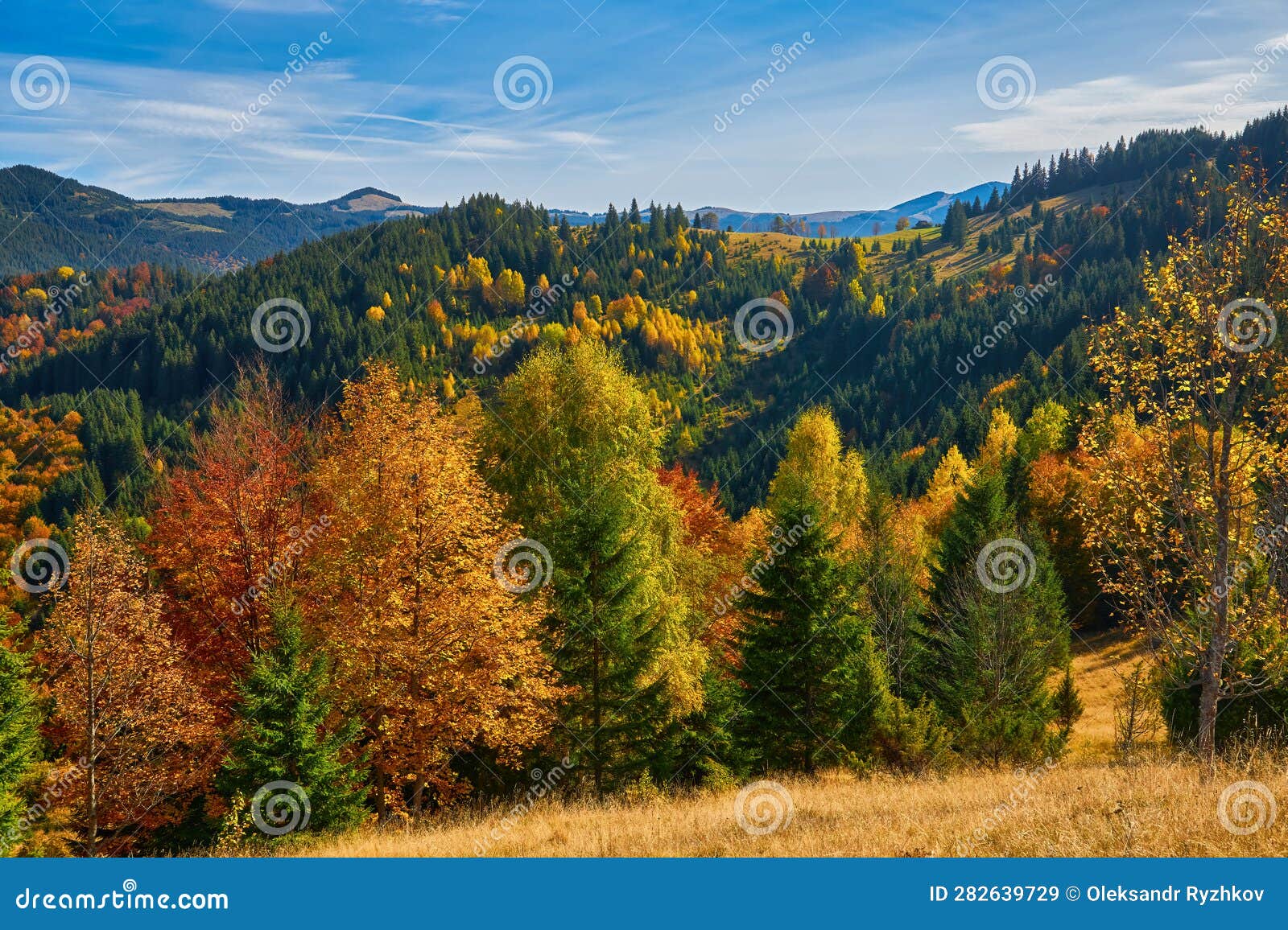 Mountain Autumn Landscape with Colorful Forest Stock Image - Image of ...