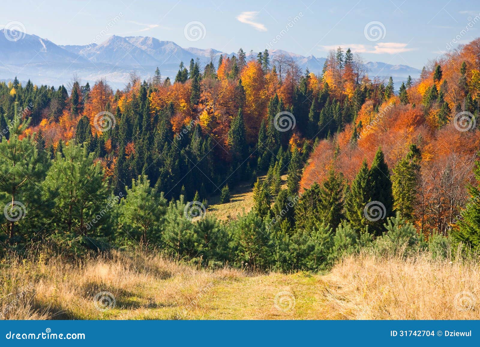 The Mountain Autumn Landscape Stock Photo - Image of foliage, fresh ...