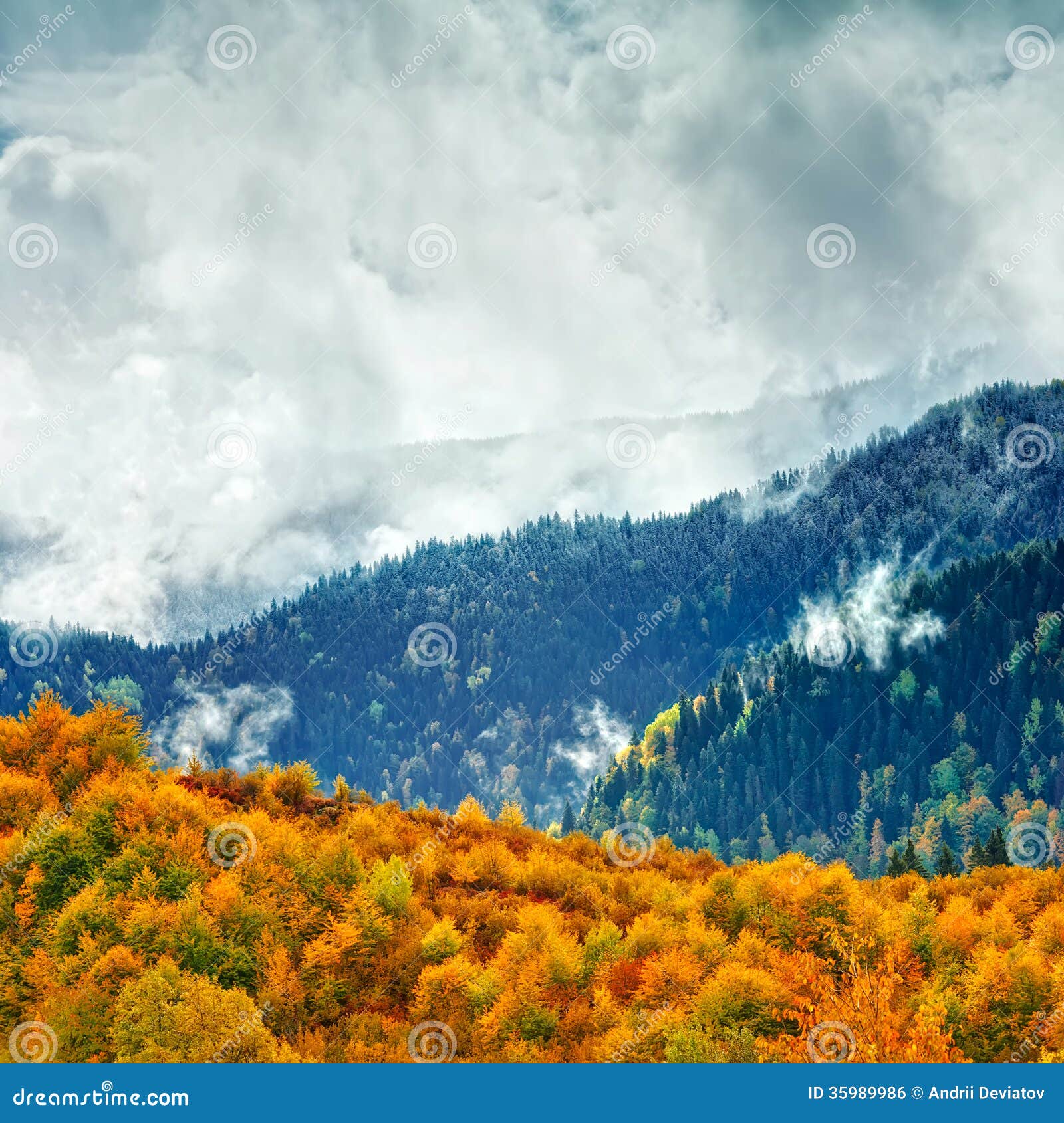 The Mountain Autumn Landscape Stock Photo - Image of landscape, golden ...