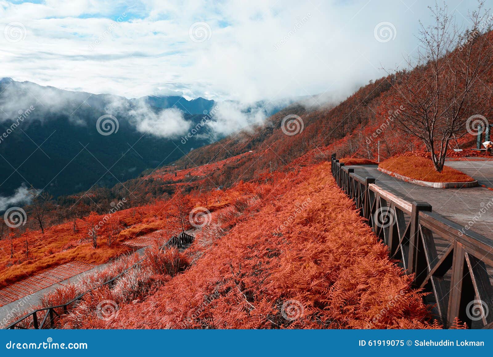The Mountain Autumn Landscape Stock Image - Image of environment, fall ...