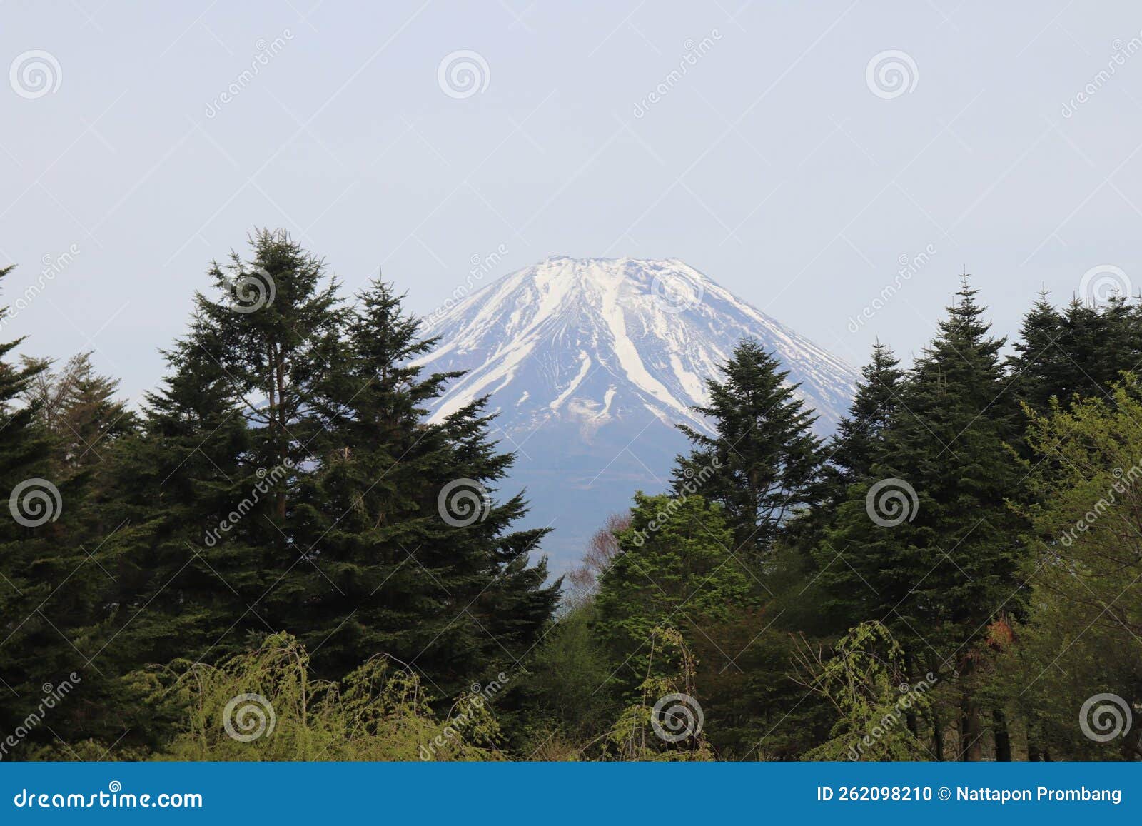 The Mountain Back the Forest in Japan Stock Photo - Image of forest ...