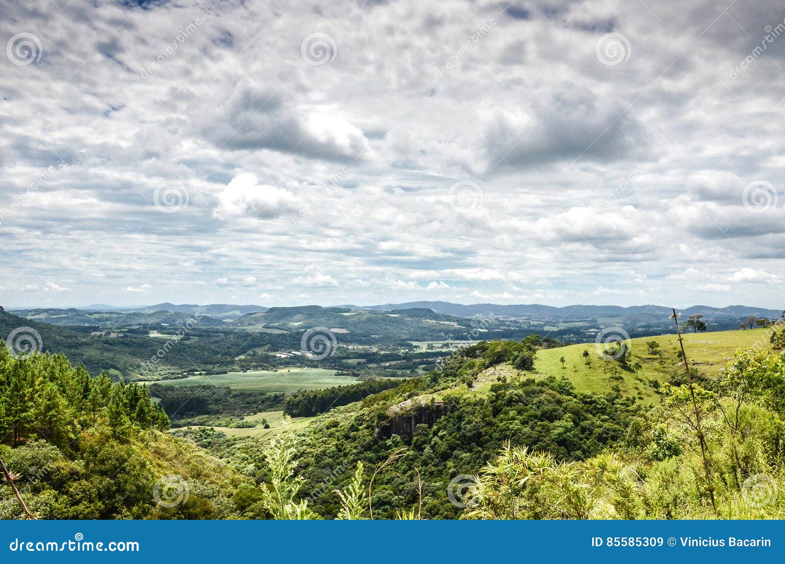 Mountain Background with Farms, Trees, Plants, Green Vegetation Stock ...