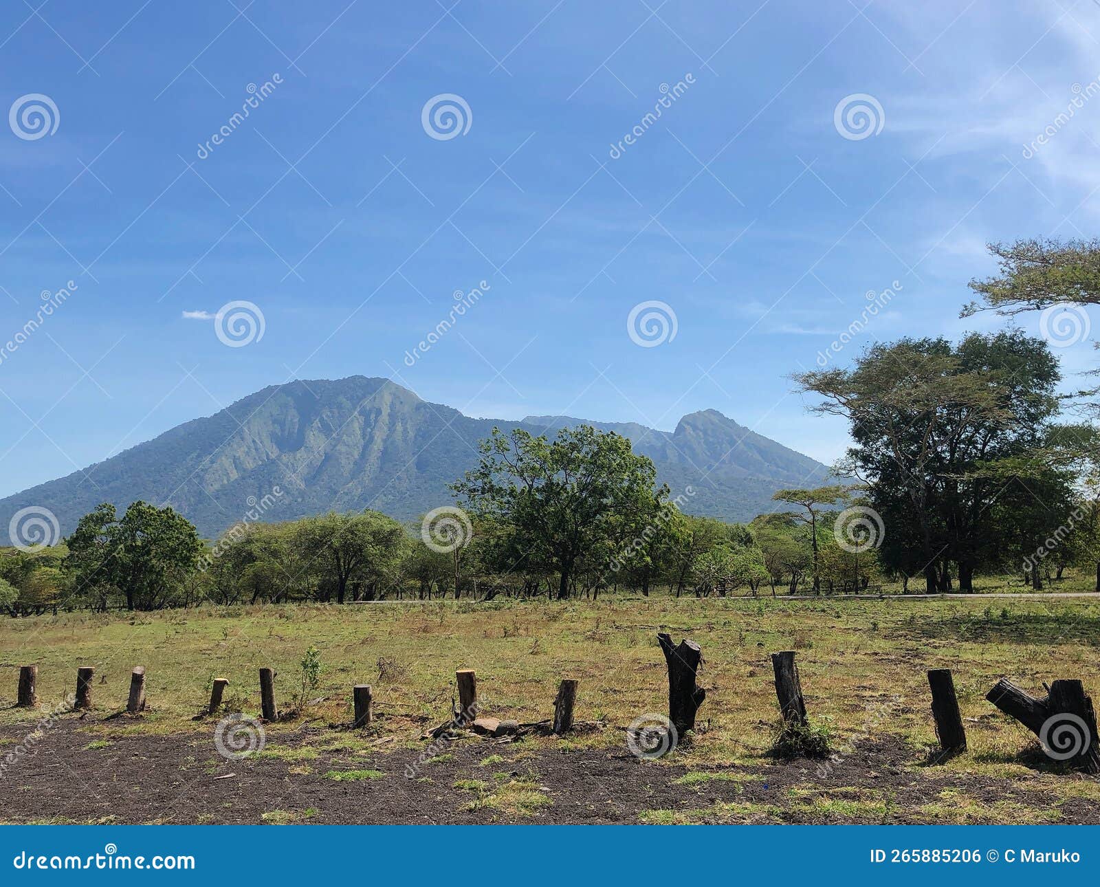 Mountain Baluran stock photo. Image of mountain, baluran - 265885206