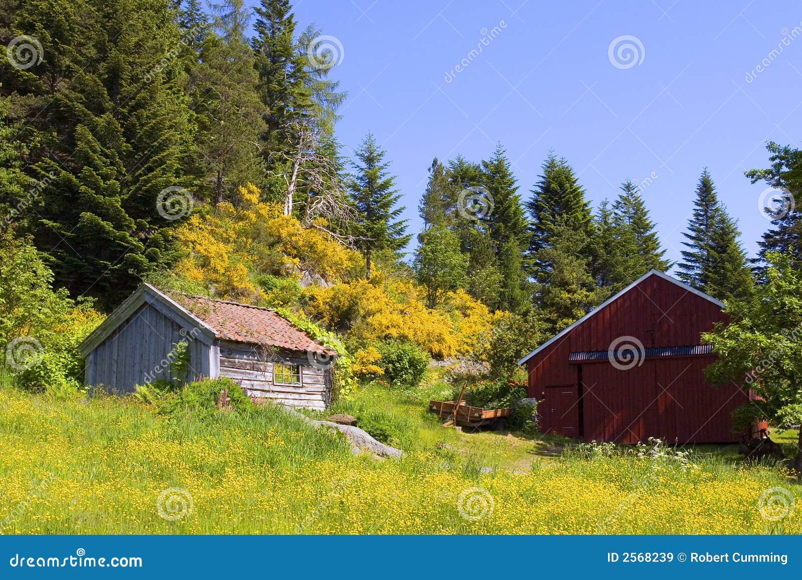Mountain Barn stock image. Image of home, mountain, meadow - 2568239