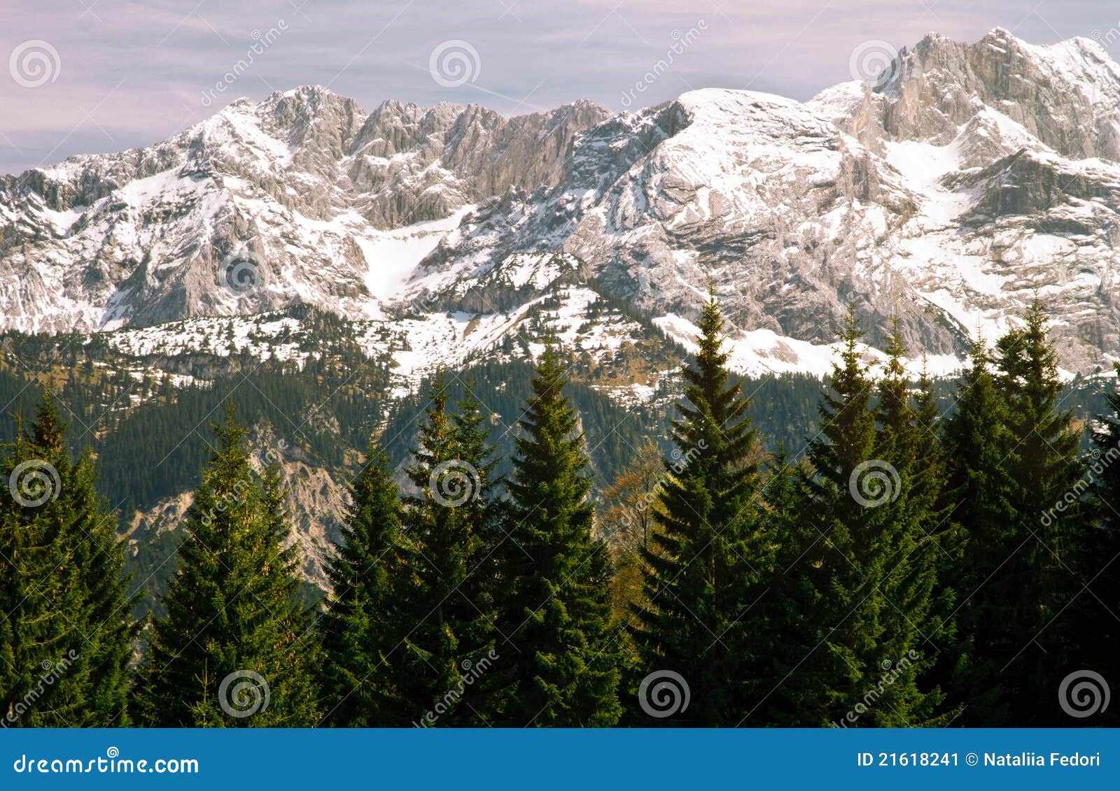 Mountain in a Bavarian Alps Stock Image - Image of flora, calm: 21618241