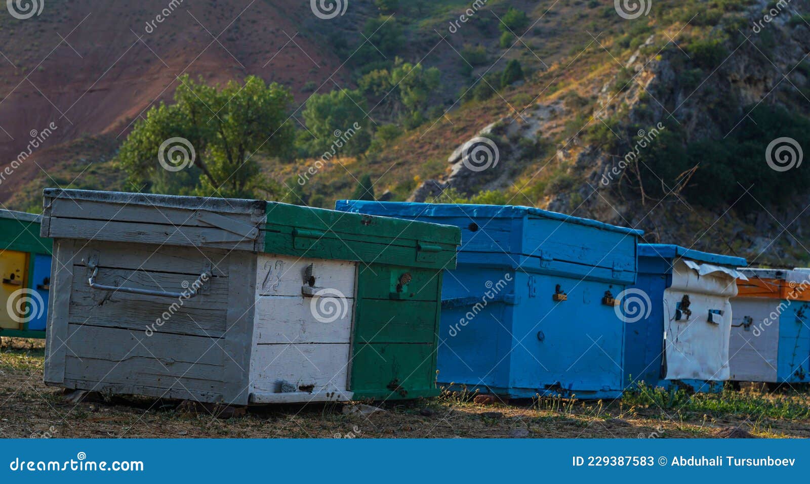 Mountain bee farm stock image. Image of apiculture, nature - 229387583