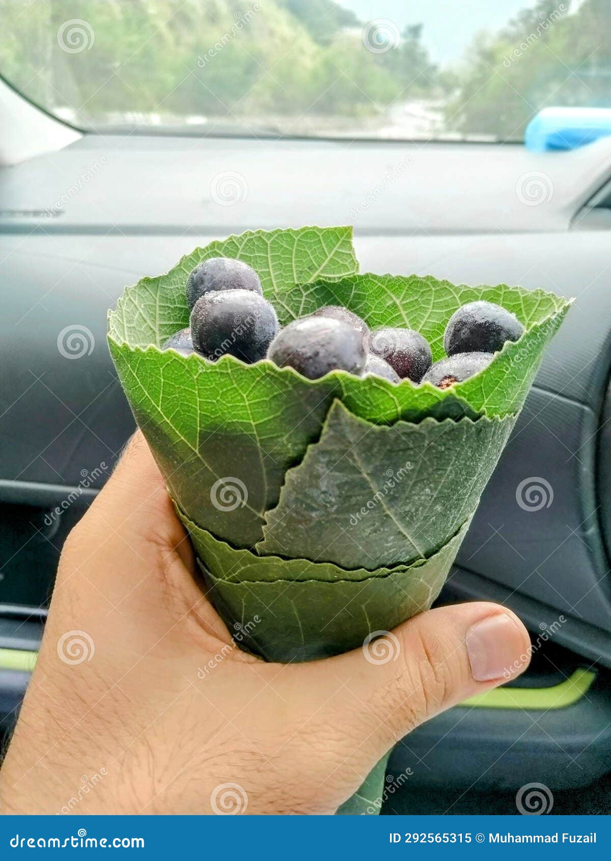 Mountain Berries in a Very Beautiful Leafy Packaging Stock Image ...