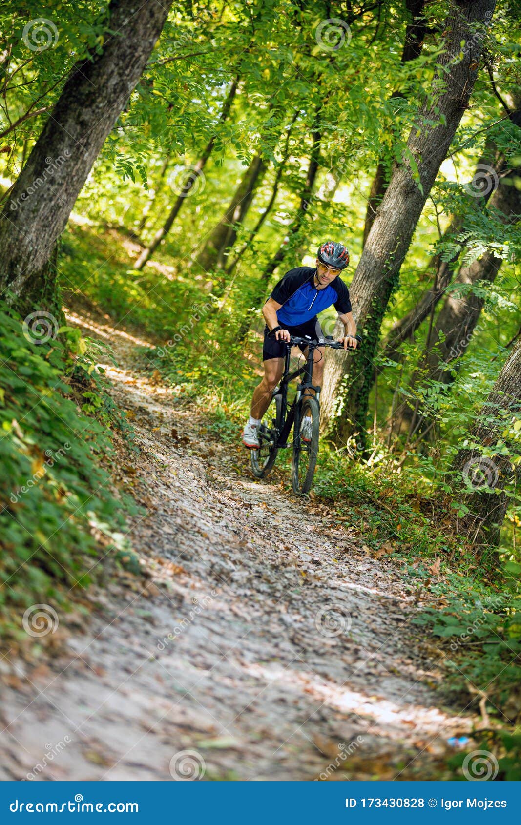 Mountain bike athlete stock photo. Image of race, biker - 173430828