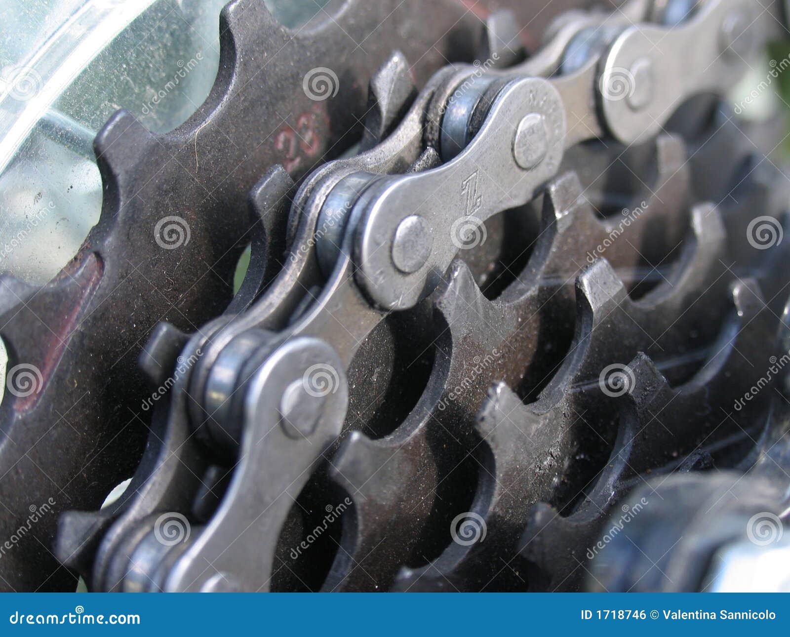 Mountain bike chain stock photo. Image of bike, grass - 1718746