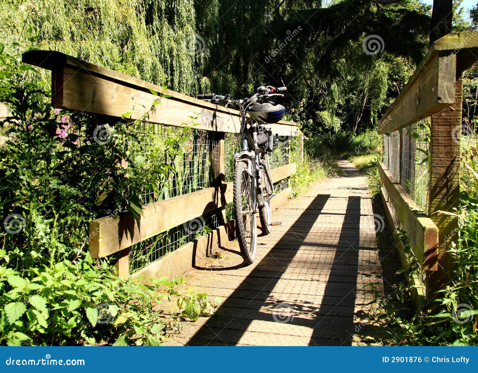 Mountain Bike on a Foot Bridge Stock Photo - Image of cycling, bridge ...