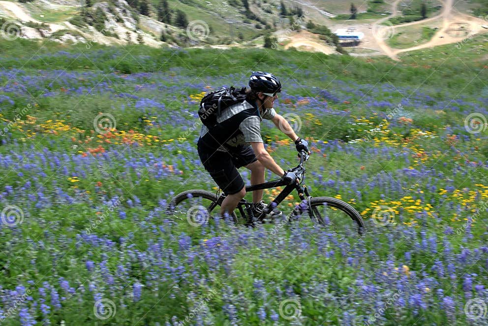 Mountain bike motion stock photo. Image of handle, country - 2913790