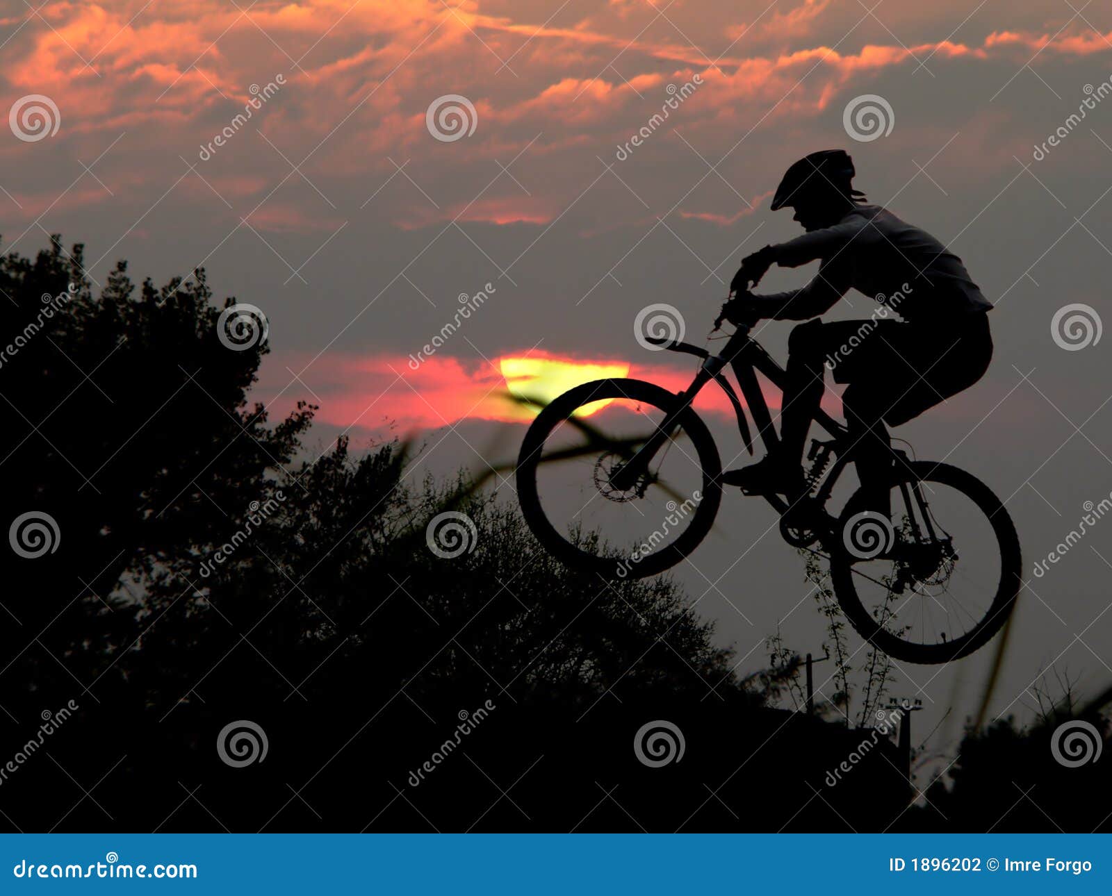 Mountain bike racer stock photo. Image of recreation, biking - 1896202