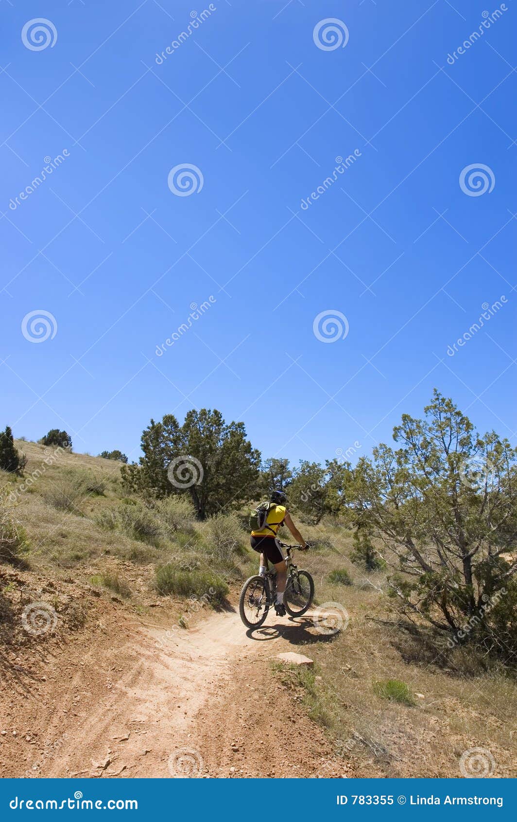 Mountain Bike Rider stock image. Image of juniper, cycles - 783355