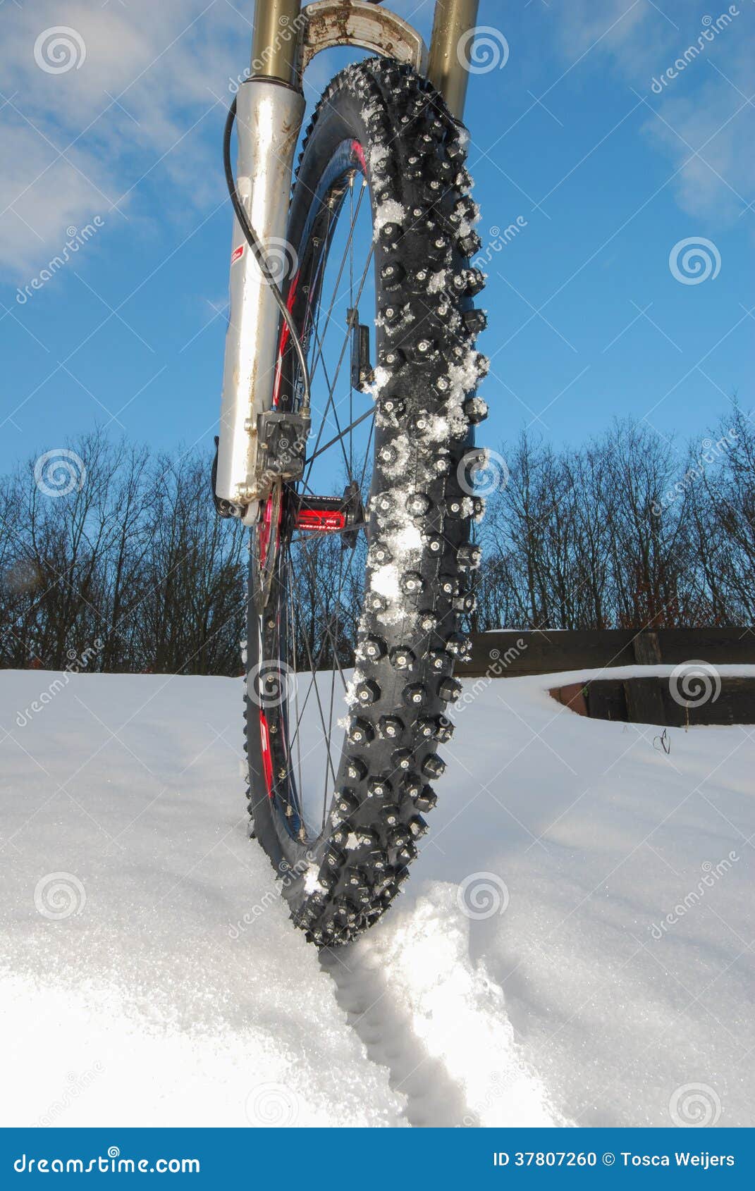 Mountain bike winter tire stock photo. Image of wheel - 37807260