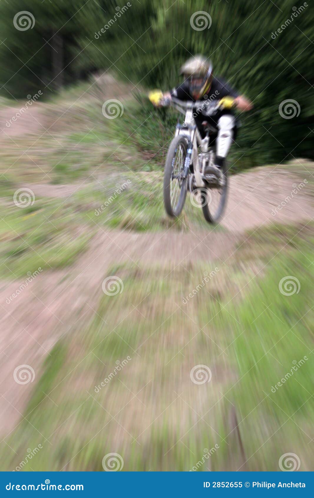 Mountain Bike Zoom 31 Picture. Image: 2852655